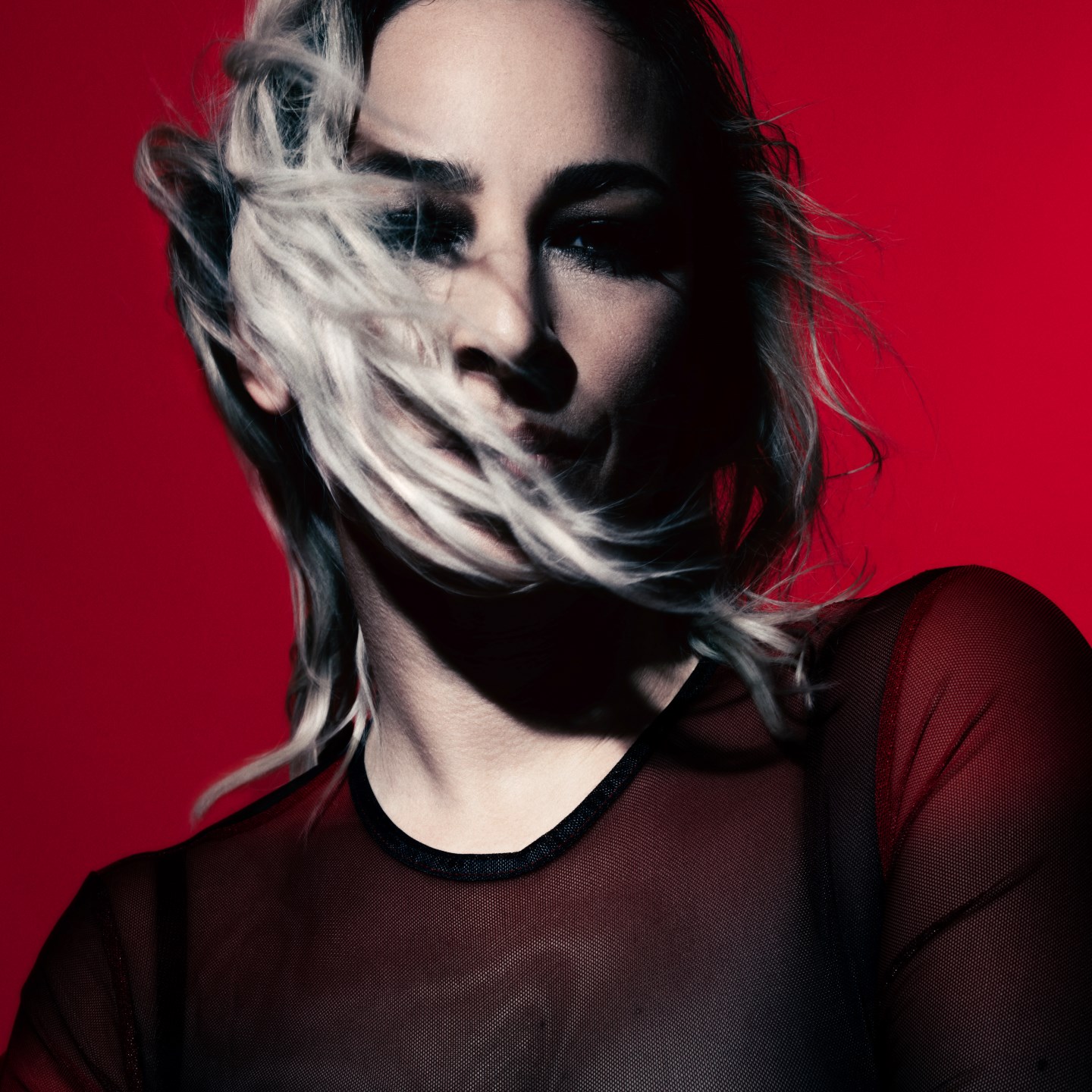 Insolate · Artist Profile