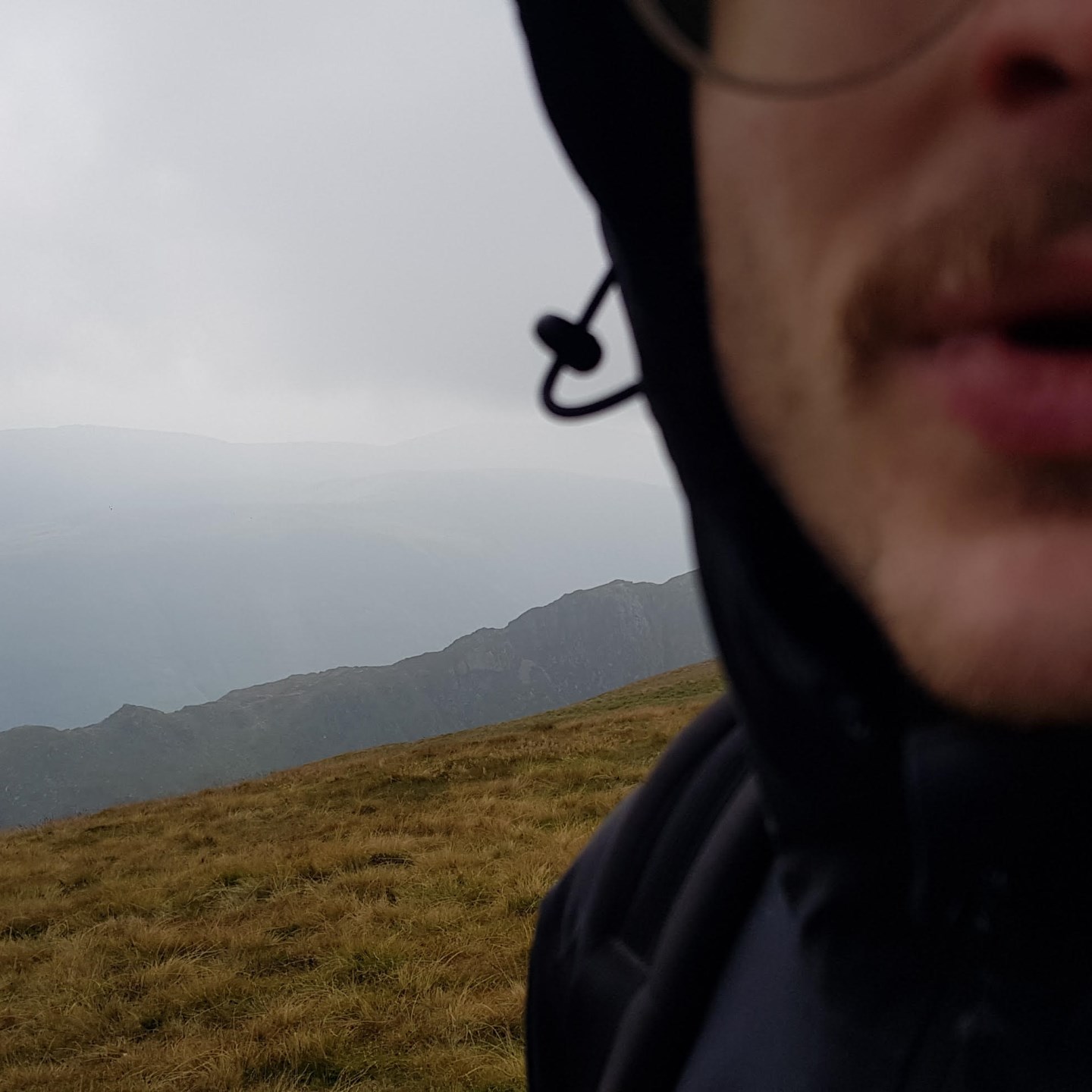 Instant Graham · Artist Profile