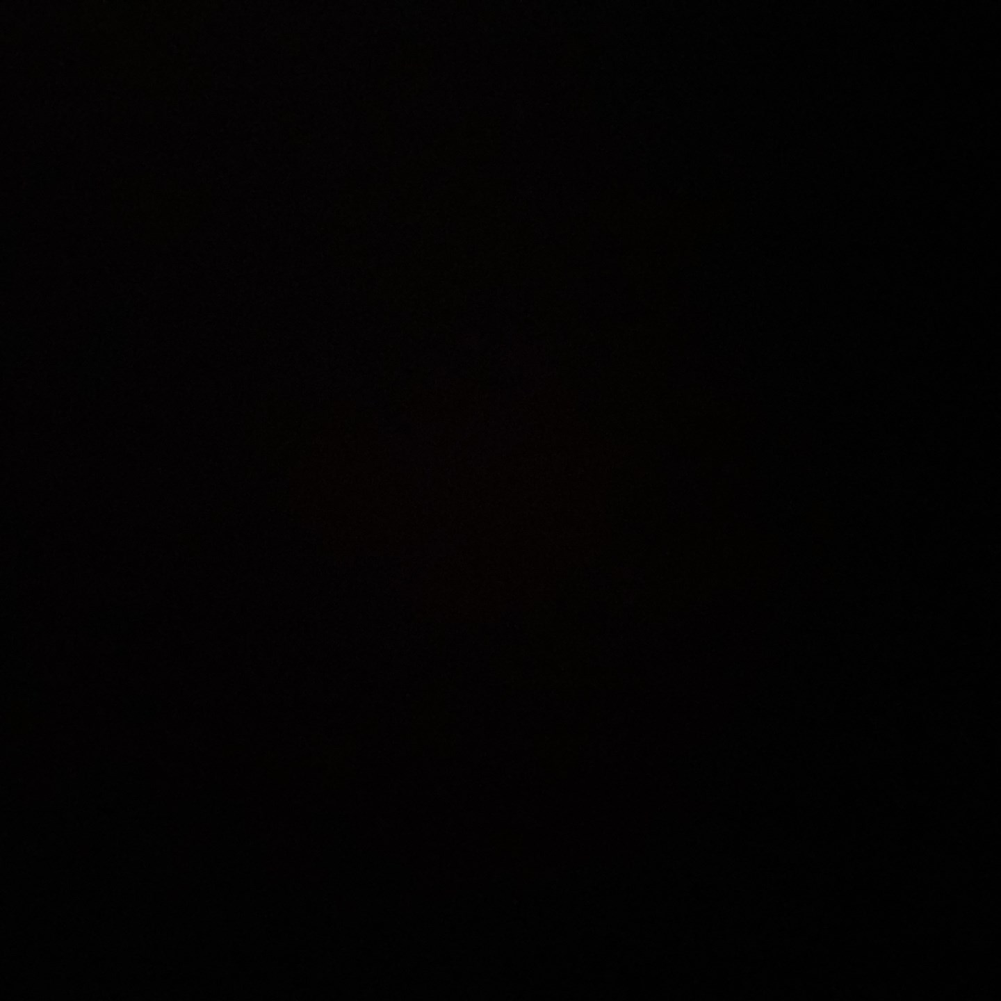 iN:YANG · Artist Profile