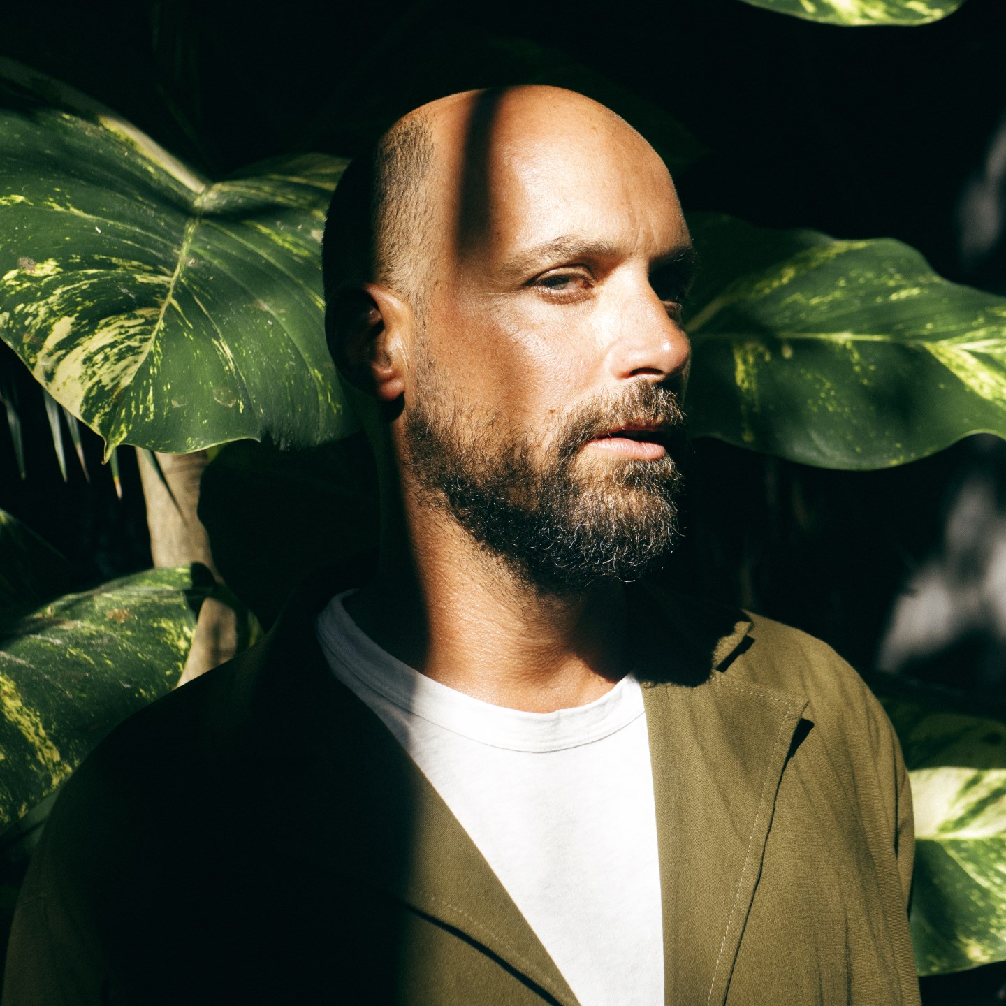 Jaime Fiorito · Artist Profile