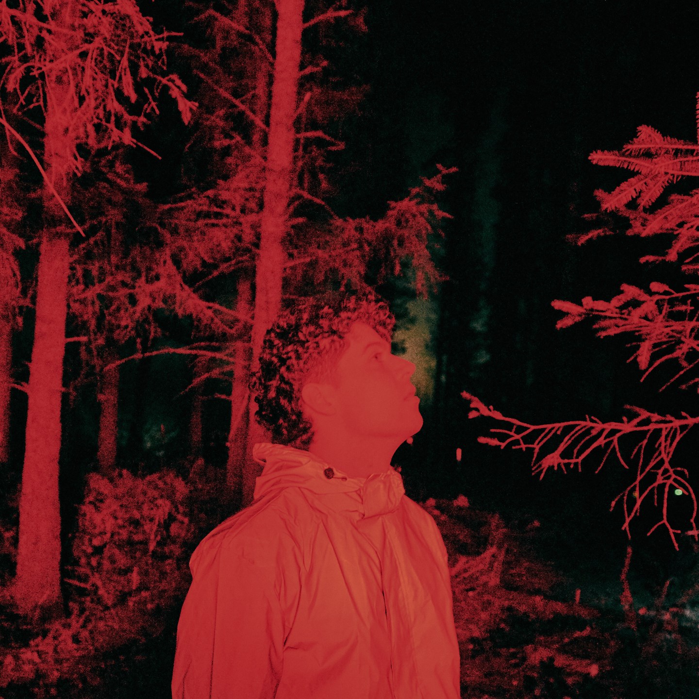 James King · Artist Profile