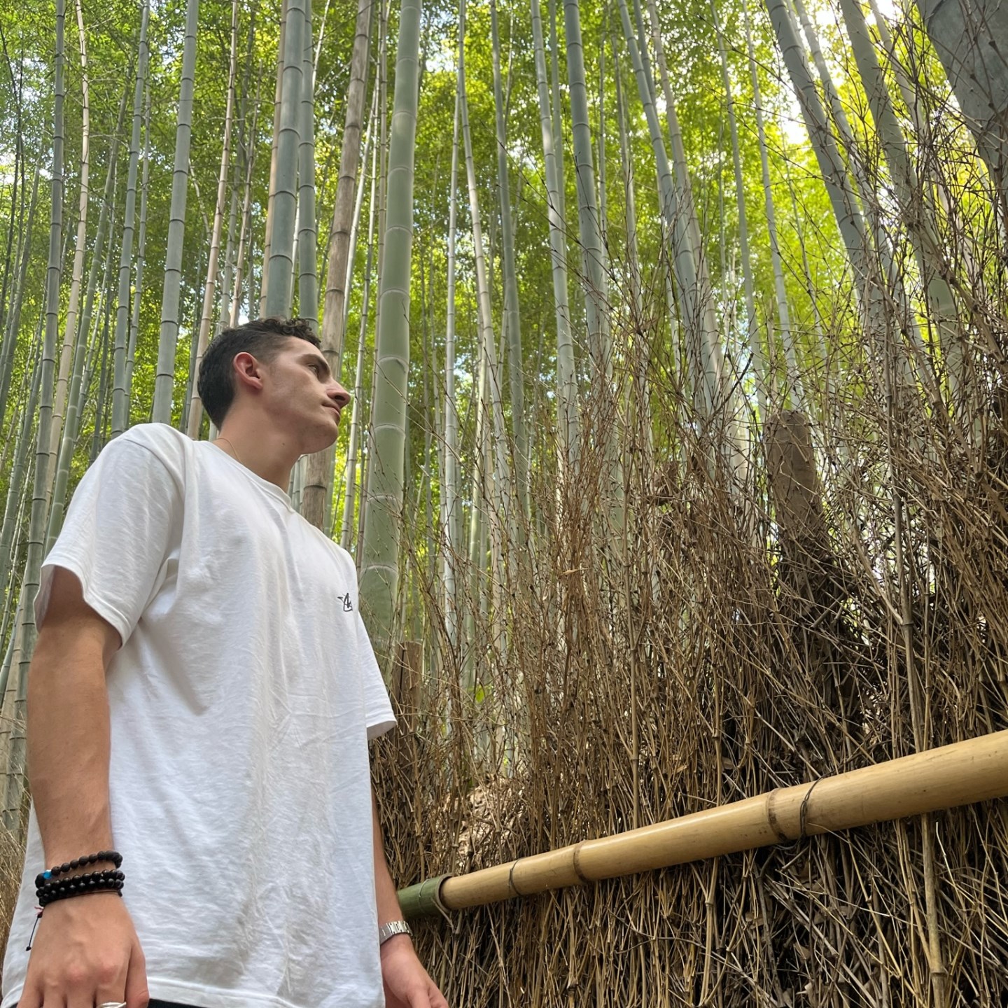 Jezza · Artist Profile