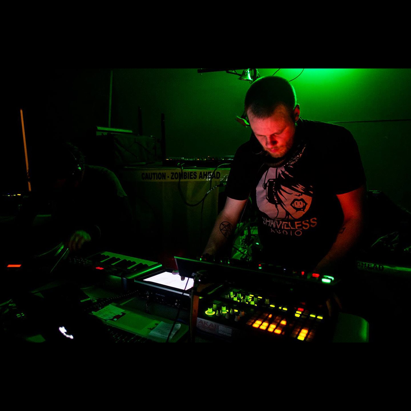 Joe Bellingham · Artist Profile