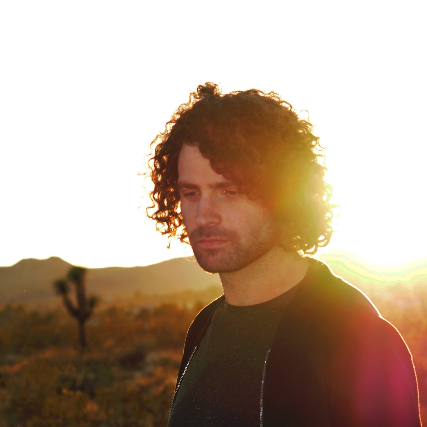 Jon Alpine · Artist Profile