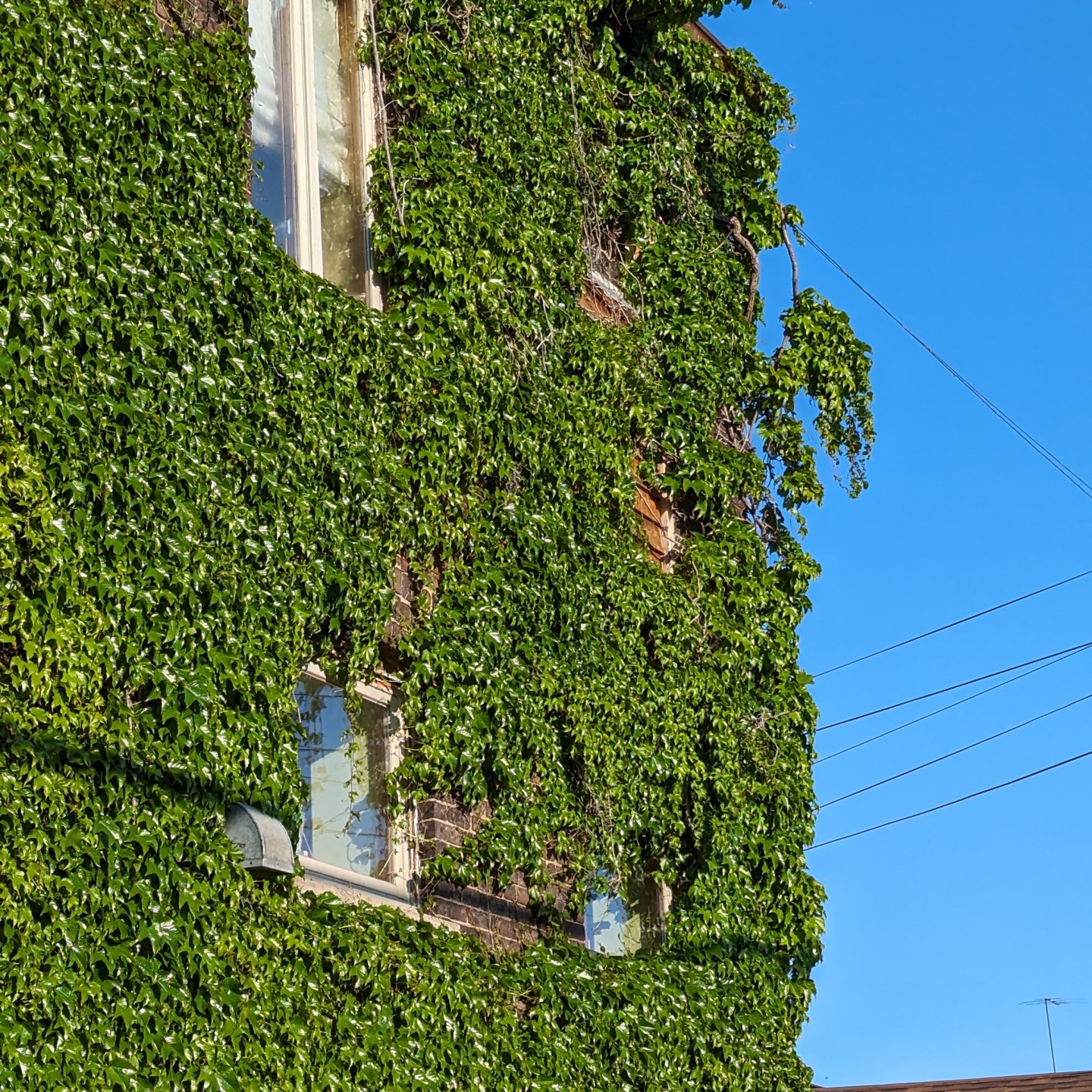 Kara Kara · Tour Dates & Tickets