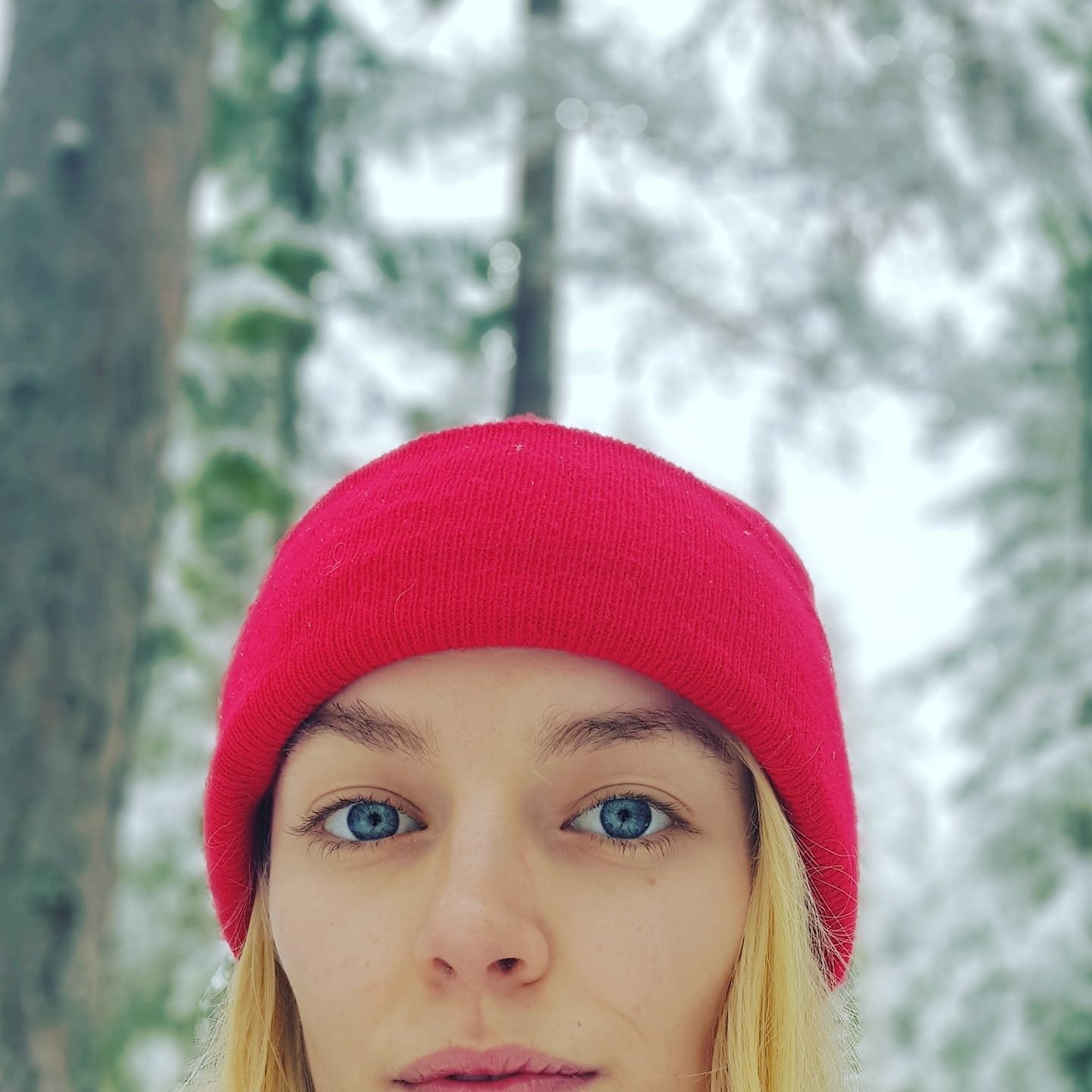 Karolinski · Artist Profile