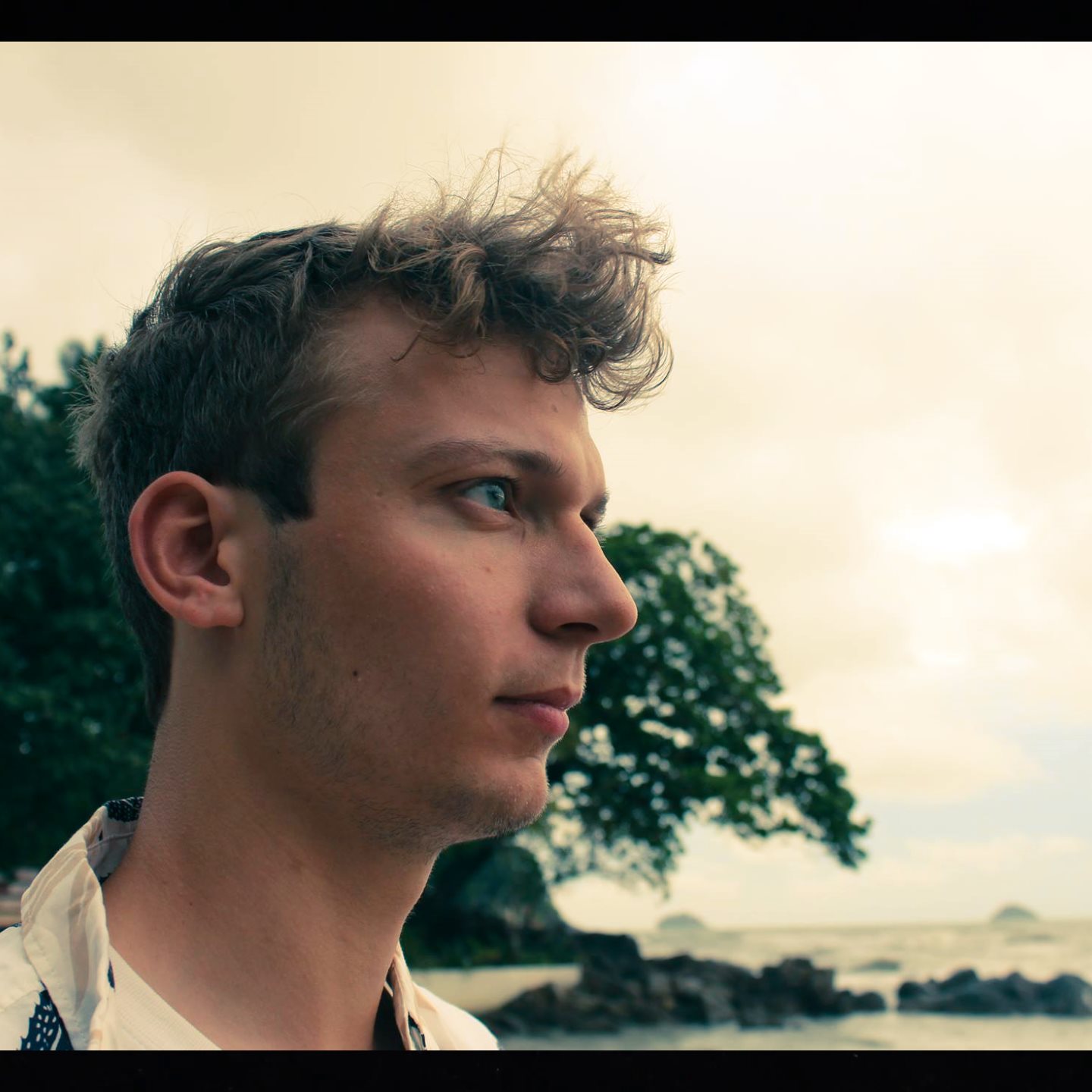 Katnip · Artist Profile