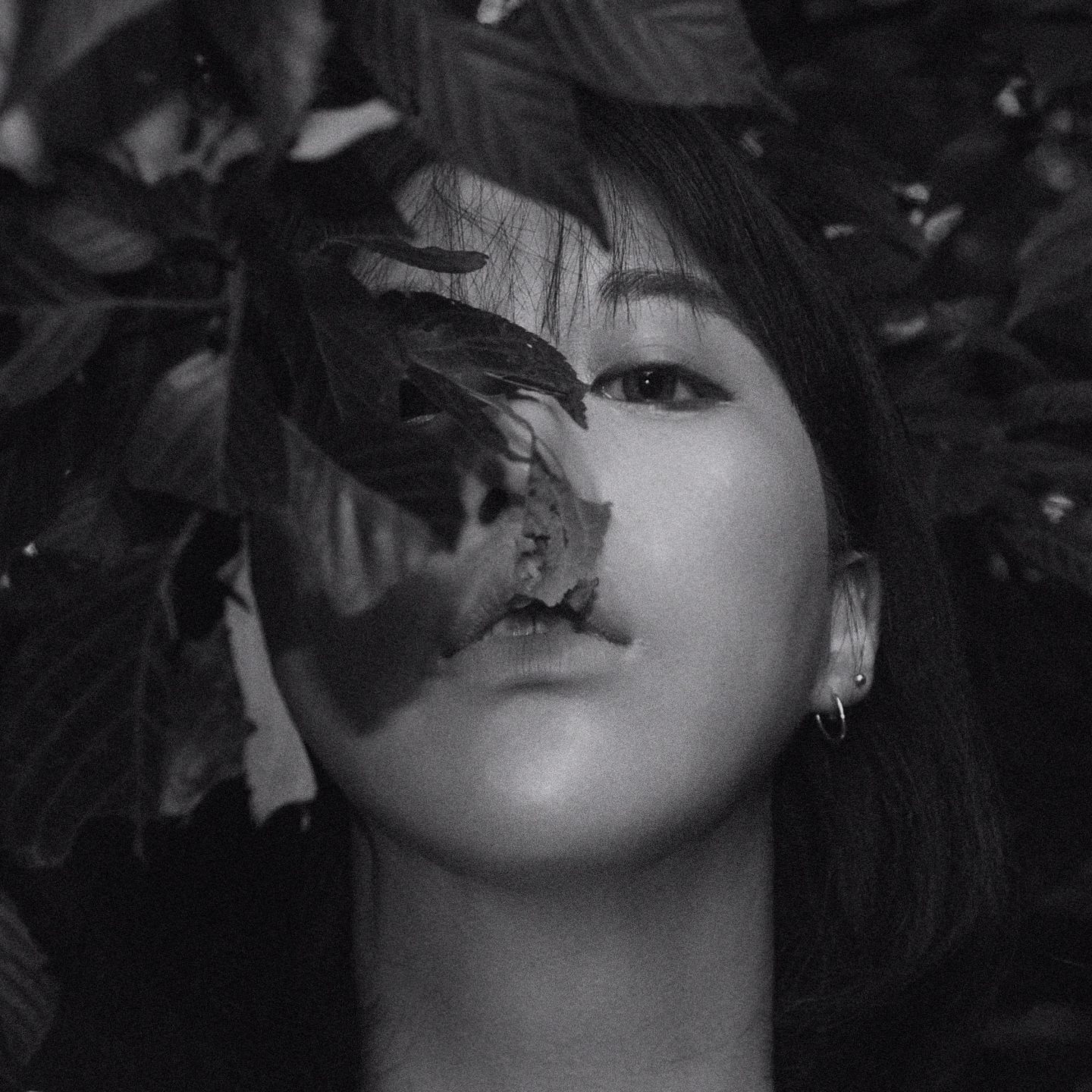 KAYON · Artist Profile