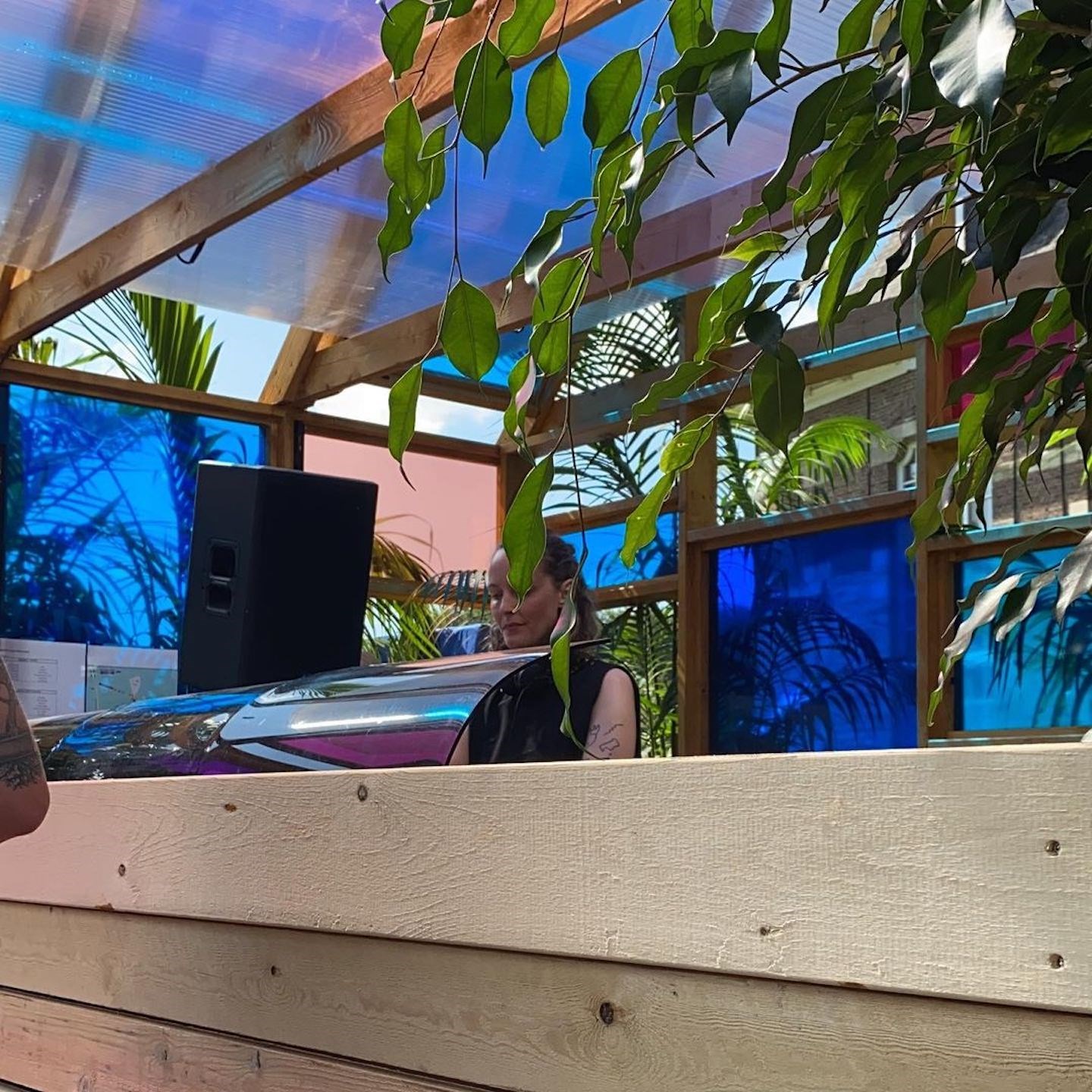 Kim Kenis · Artist Profile