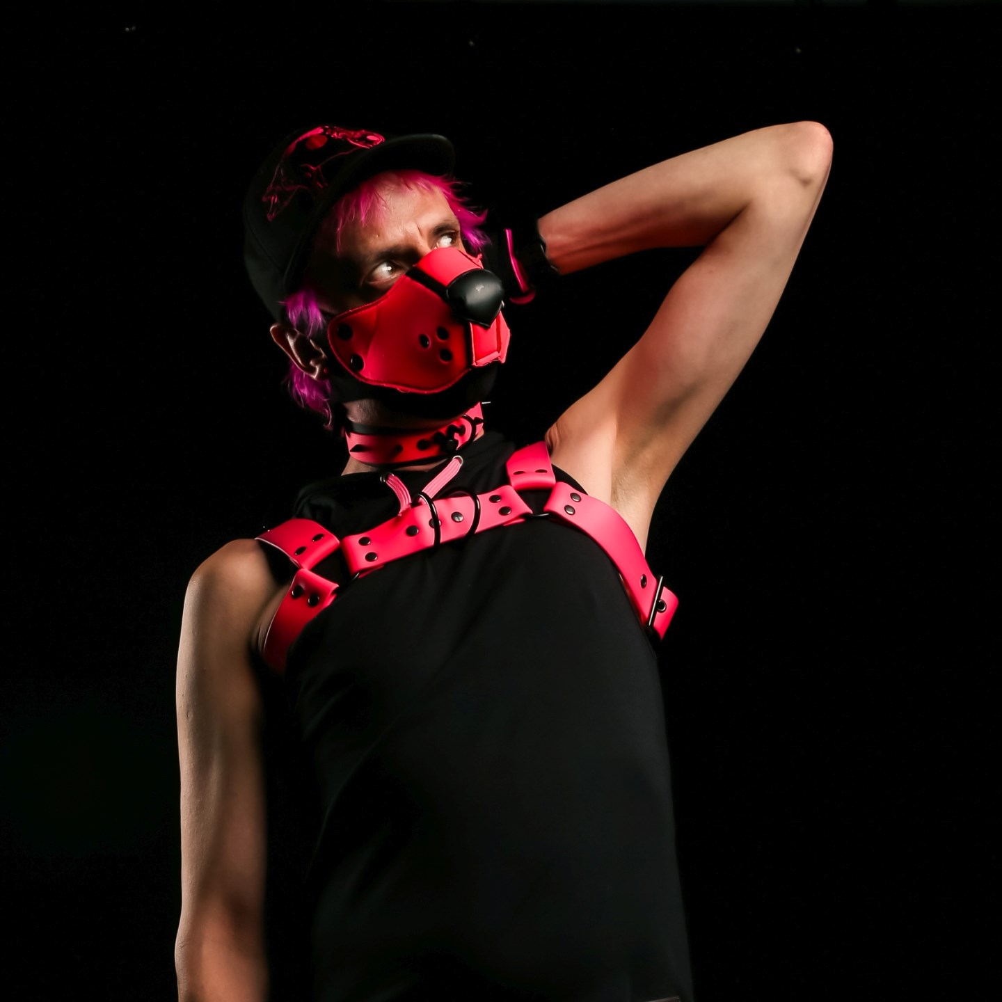 Kittz · Artist Profile