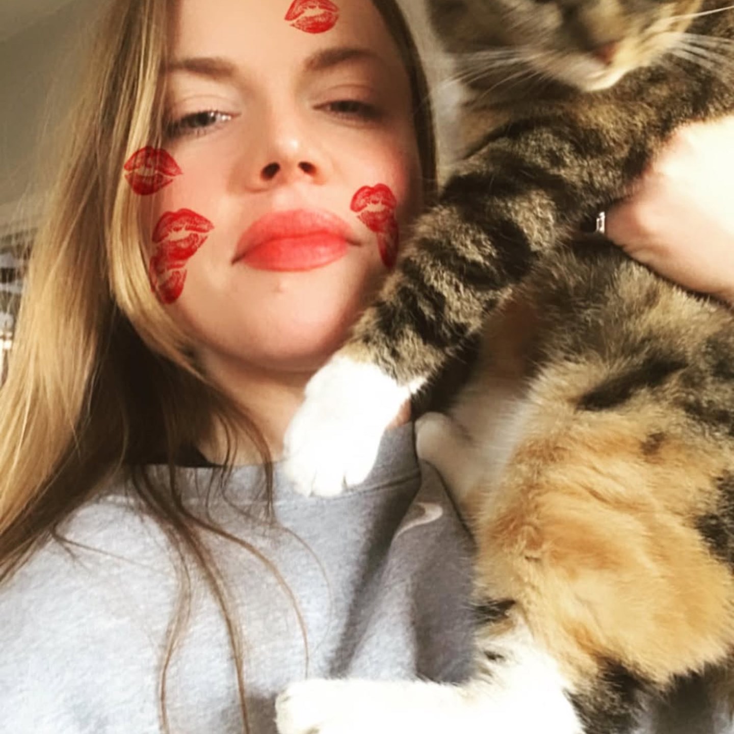 Klara Nov · Tour Dates & Tickets