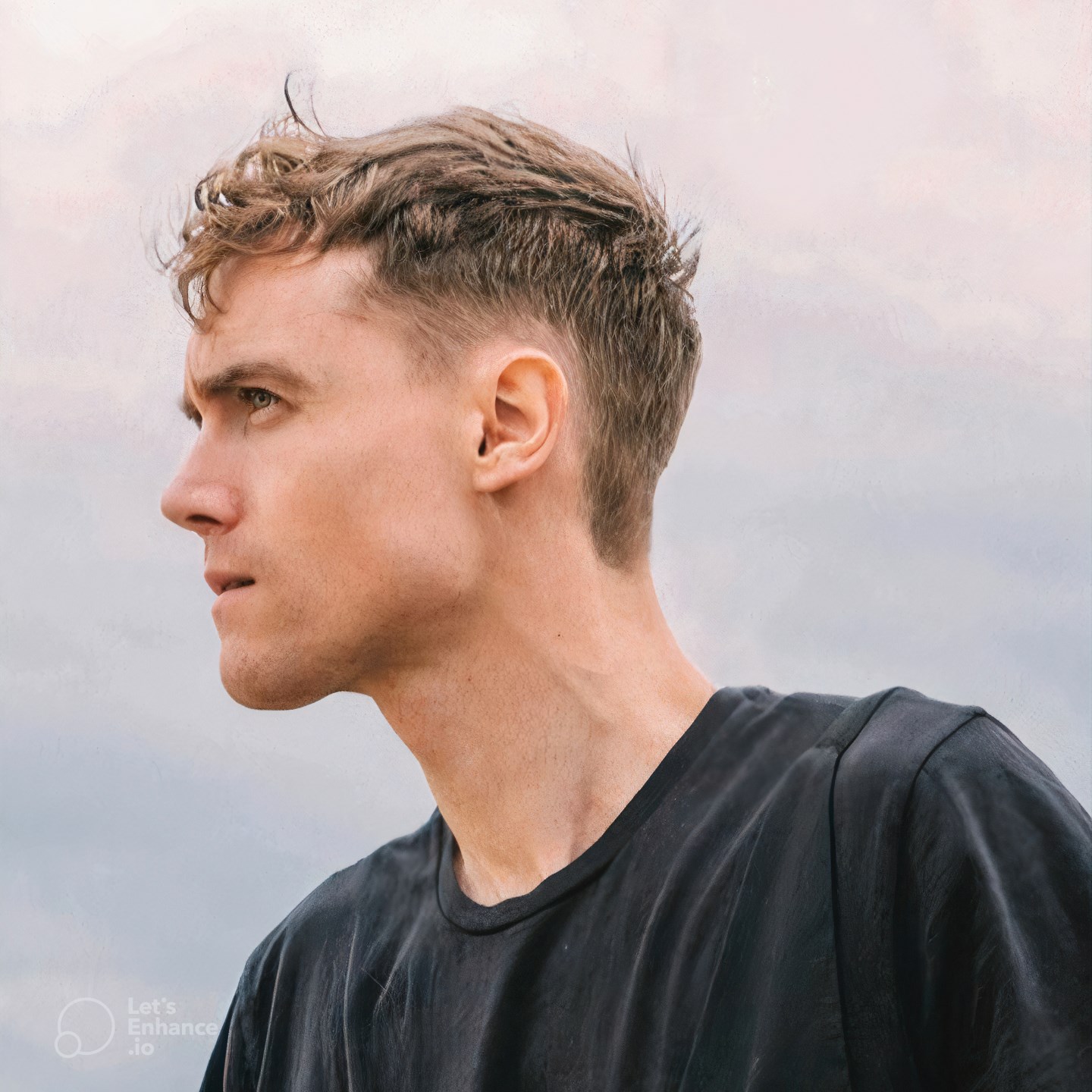 Ladd · Artist Profile