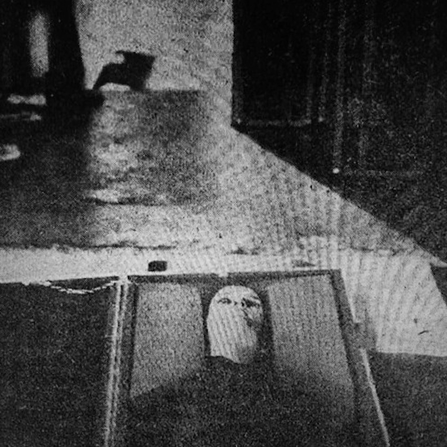 Lamaze · Tour Dates & Tickets