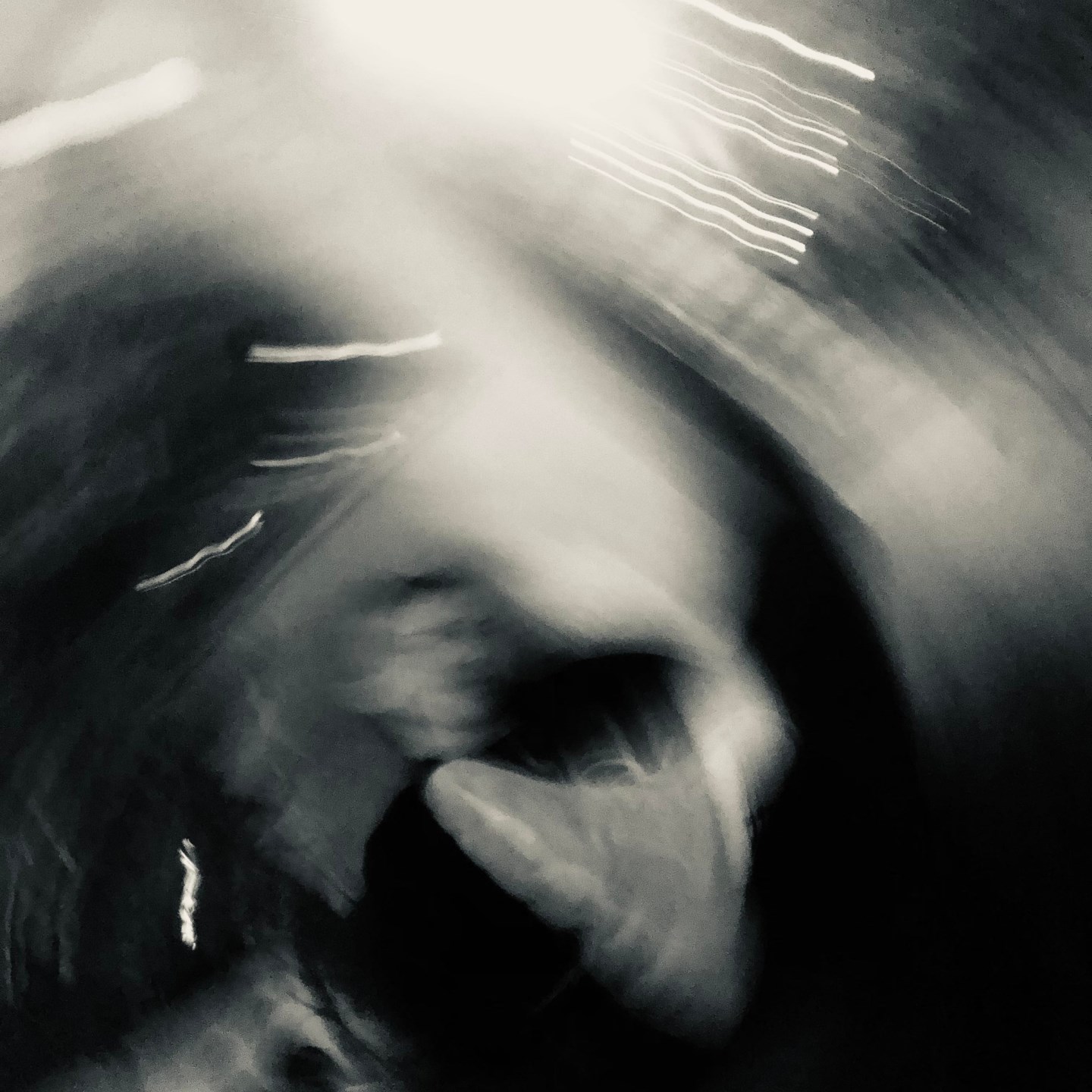 Larmour · Artist Profile