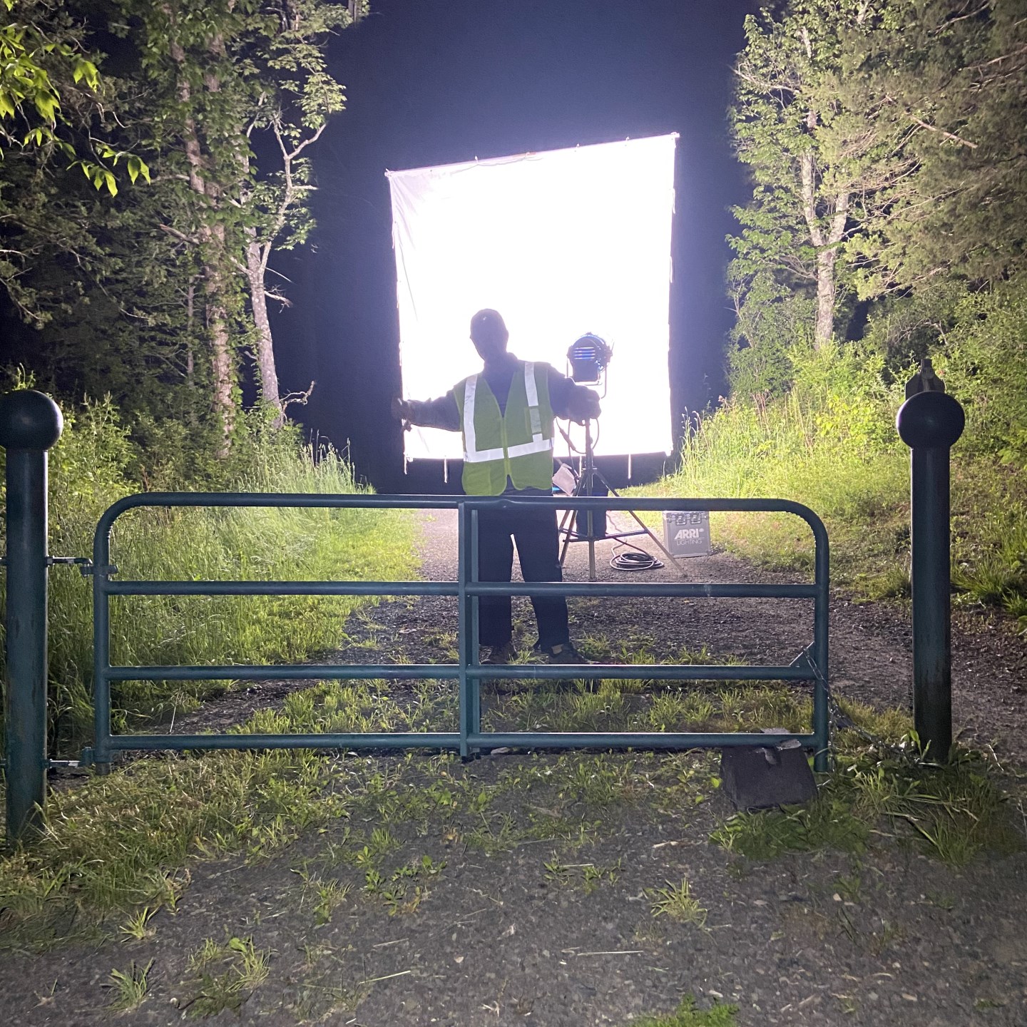 Larry Termite · Artist Profile