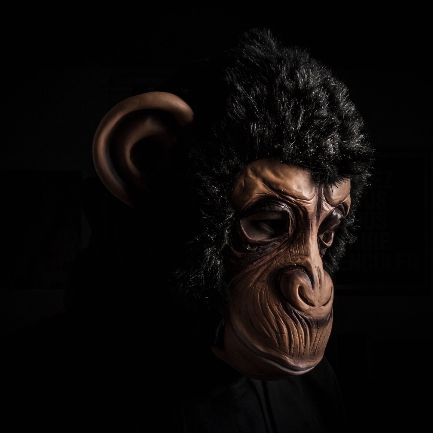 Le Monkey · Artist Profile