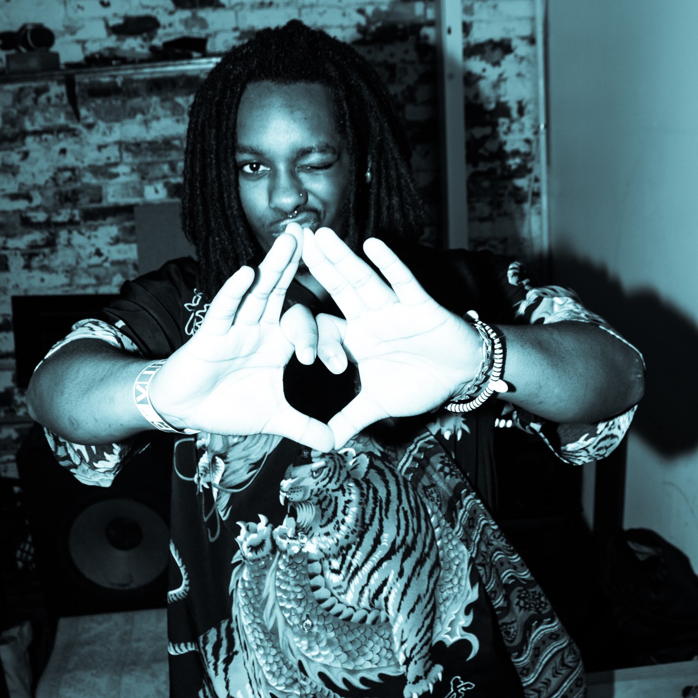 LeRose · Artist Profile