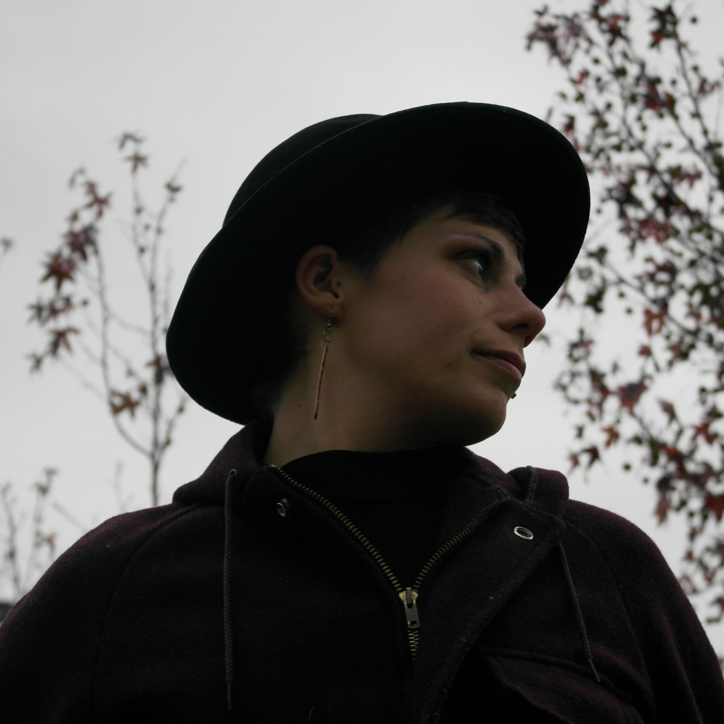 Lisa Cropp · Artist Profile