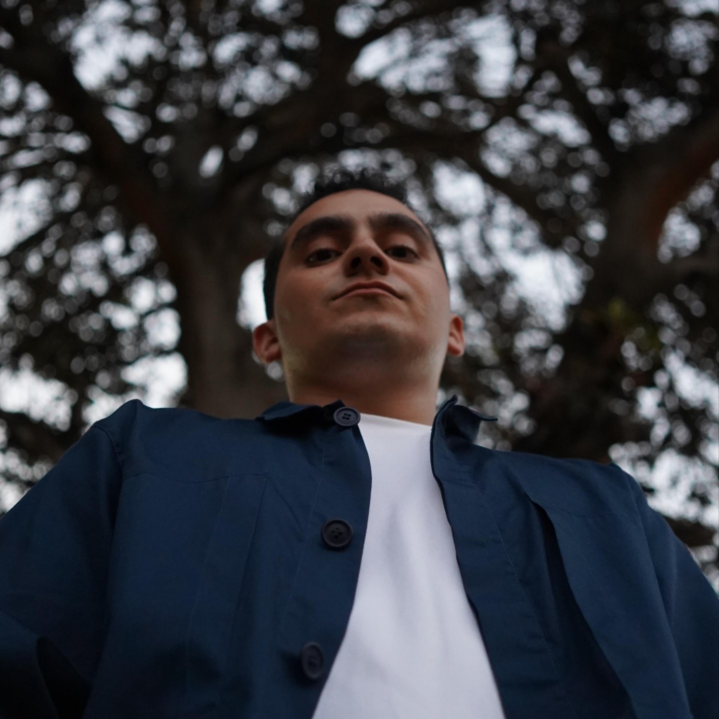 Louis P · Artist Profile