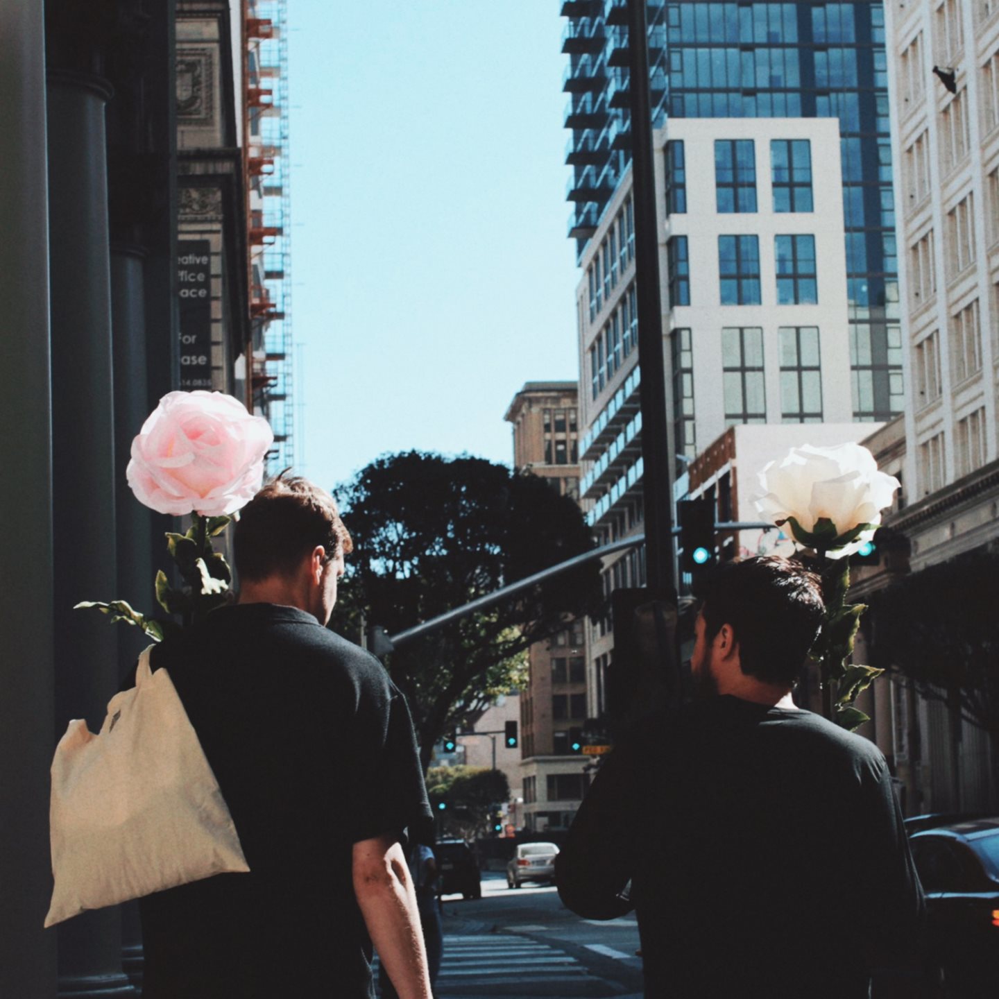 Luces Artist Profile