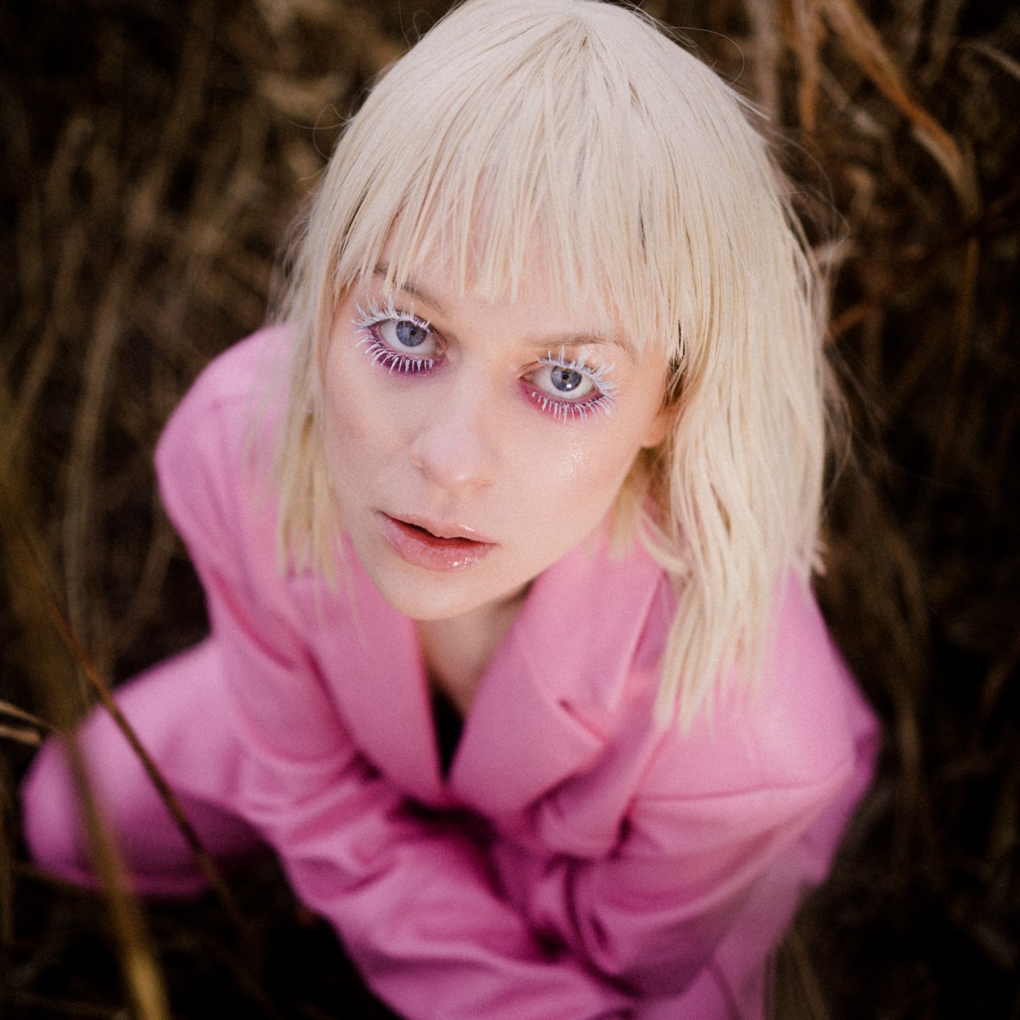 LUCIE · Artist Profile