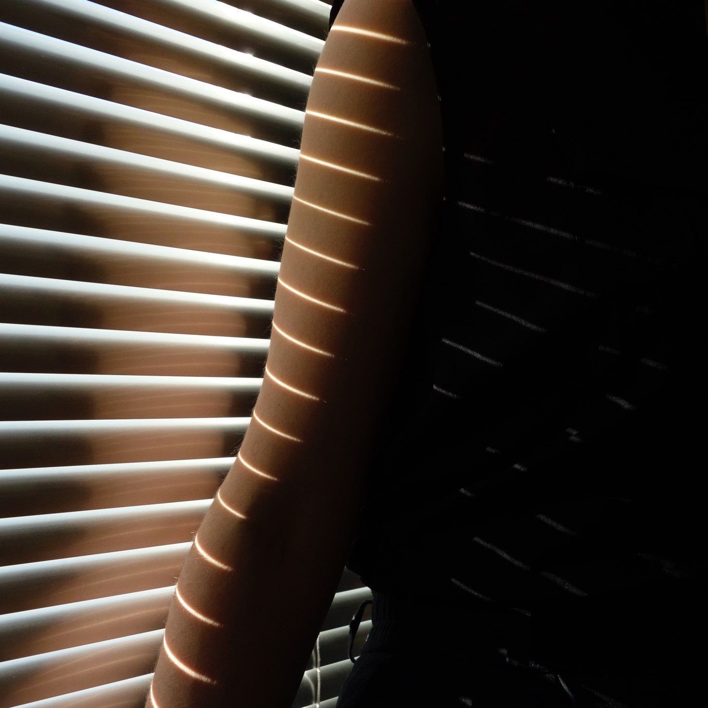 Lux. · Artist Profile