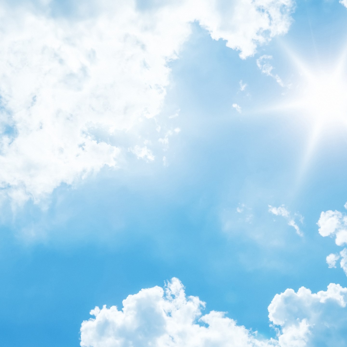 Maks · Artist Profile