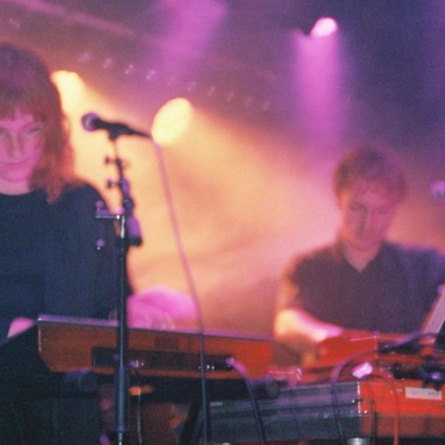 Maranta · Artist Profile