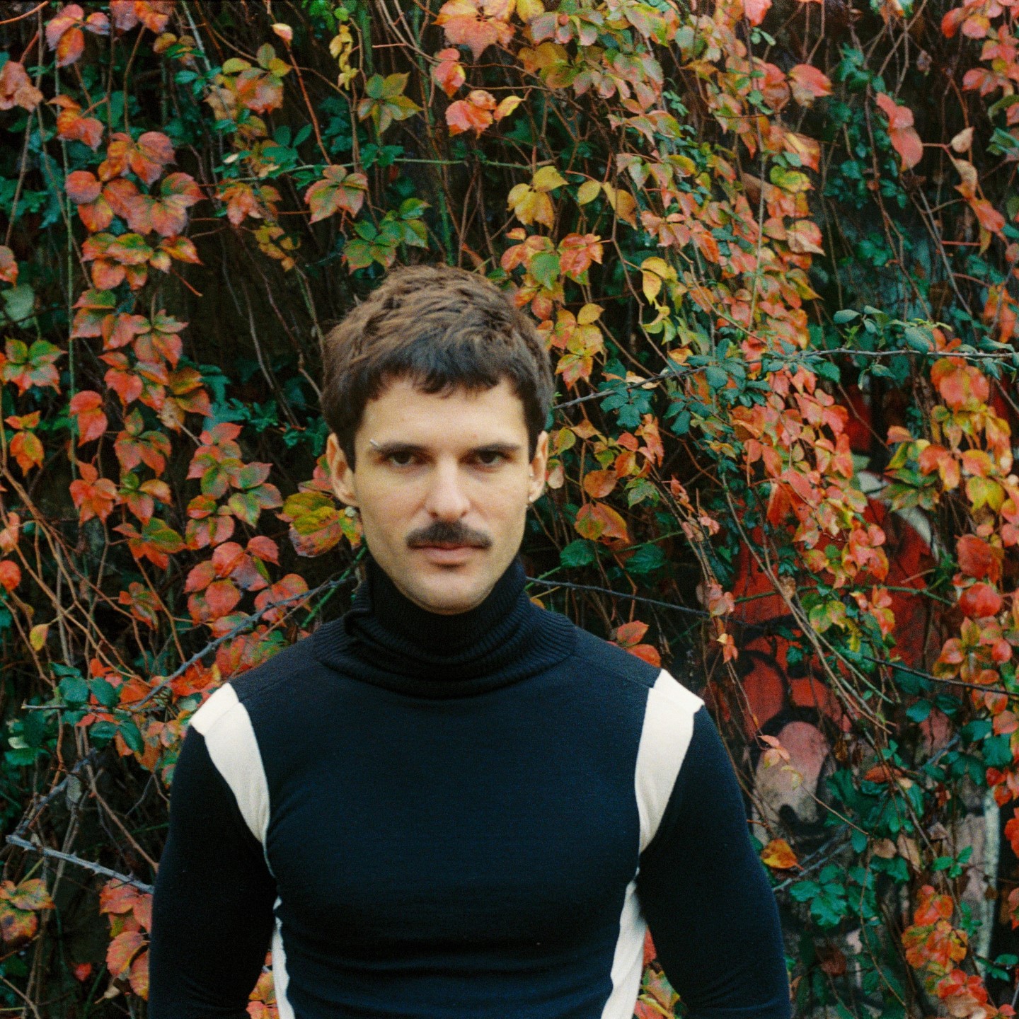 Markov (BR) · Artist Profile