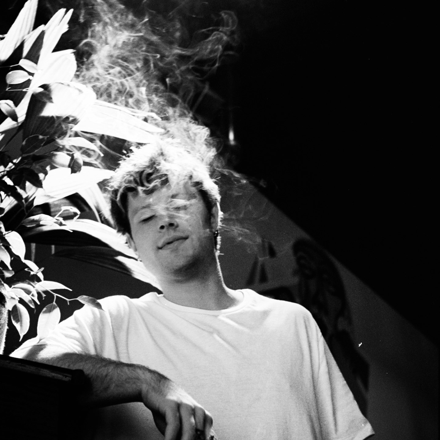 Max Sprauer · Artist Profile