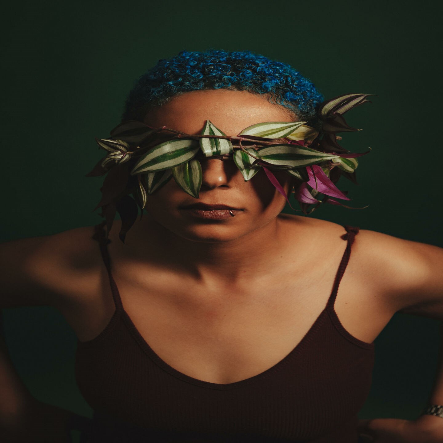 Medis · Artist Profile