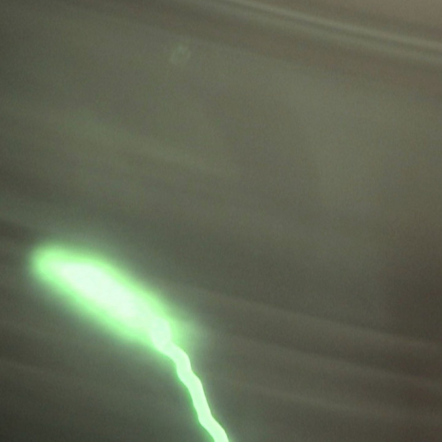 Moin · Tour Dates & Tickets