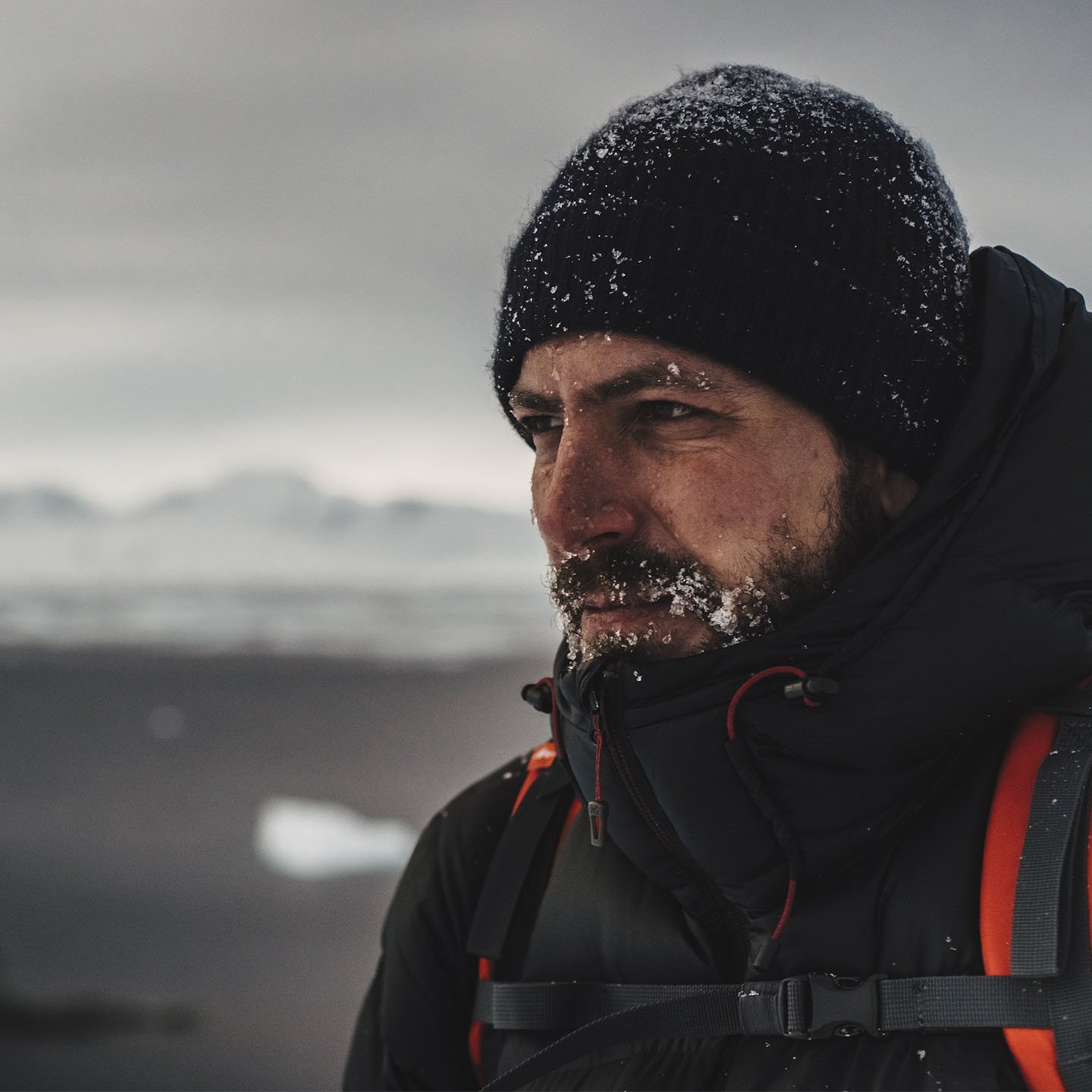 Molécule · Artist Profile