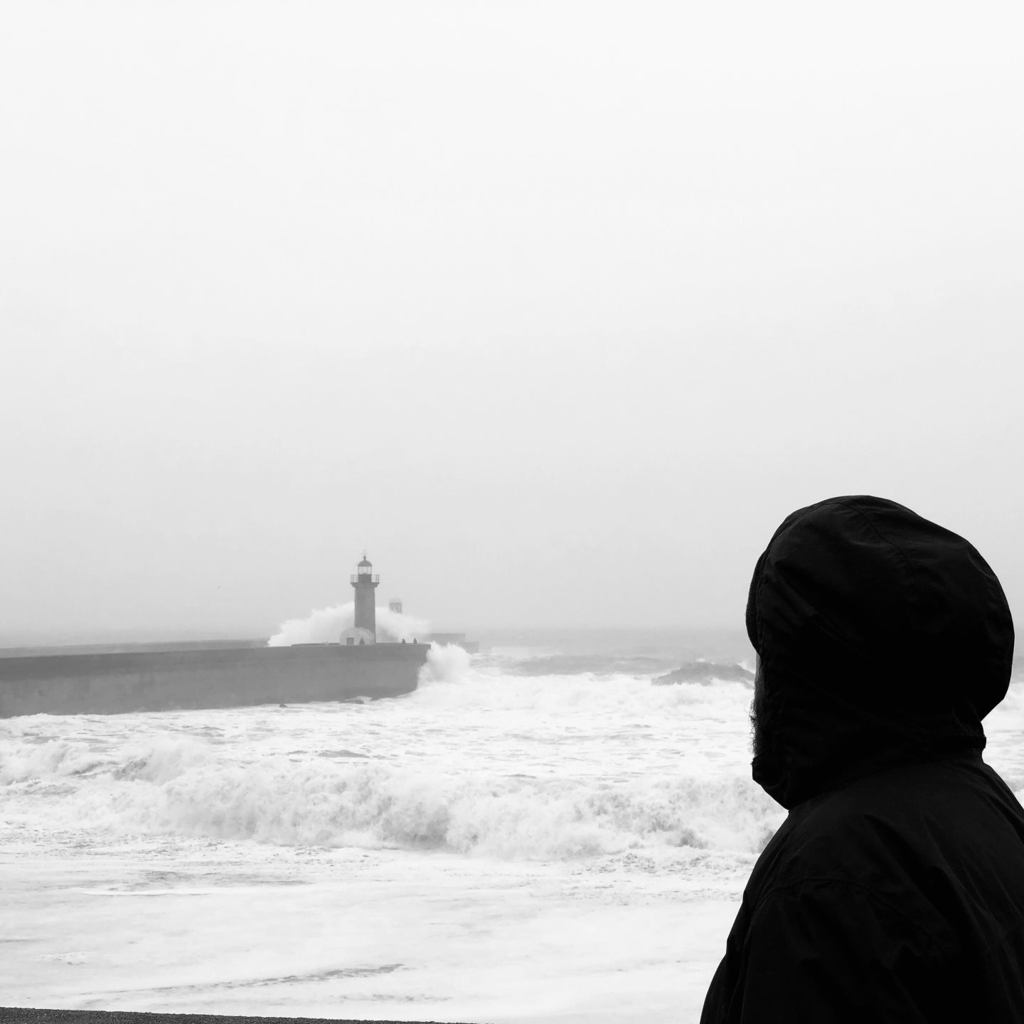 Mool · Artist Profile