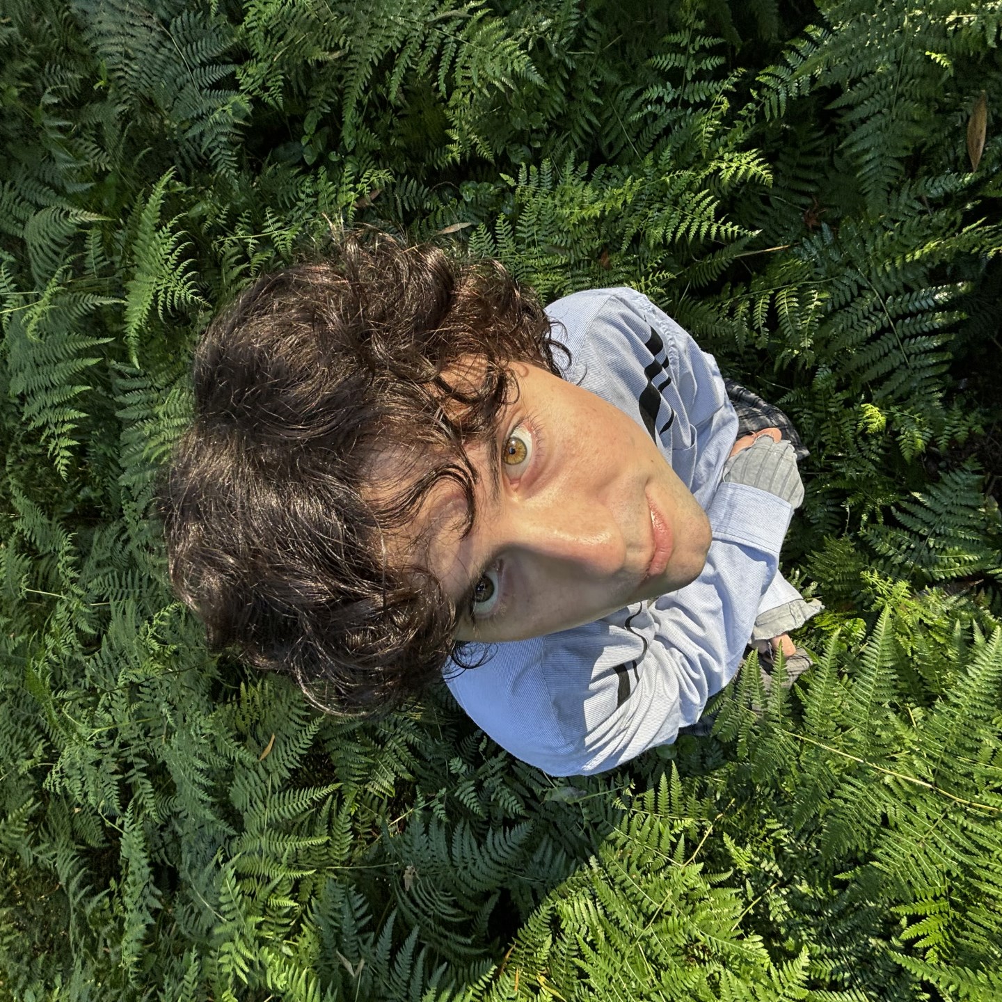 Morgan Bitters · Artist Profile