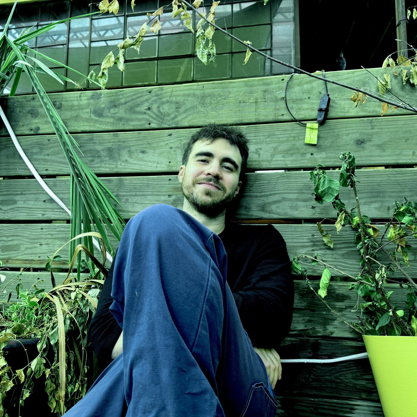 Mr. Blue · Artist Profile