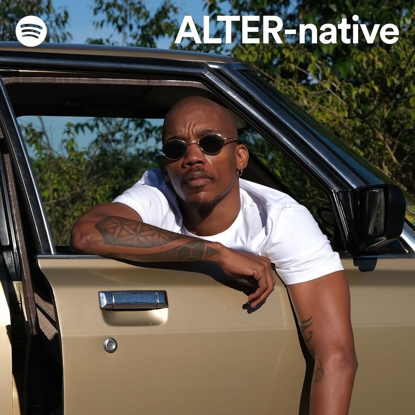 Muzi · Artist Profile