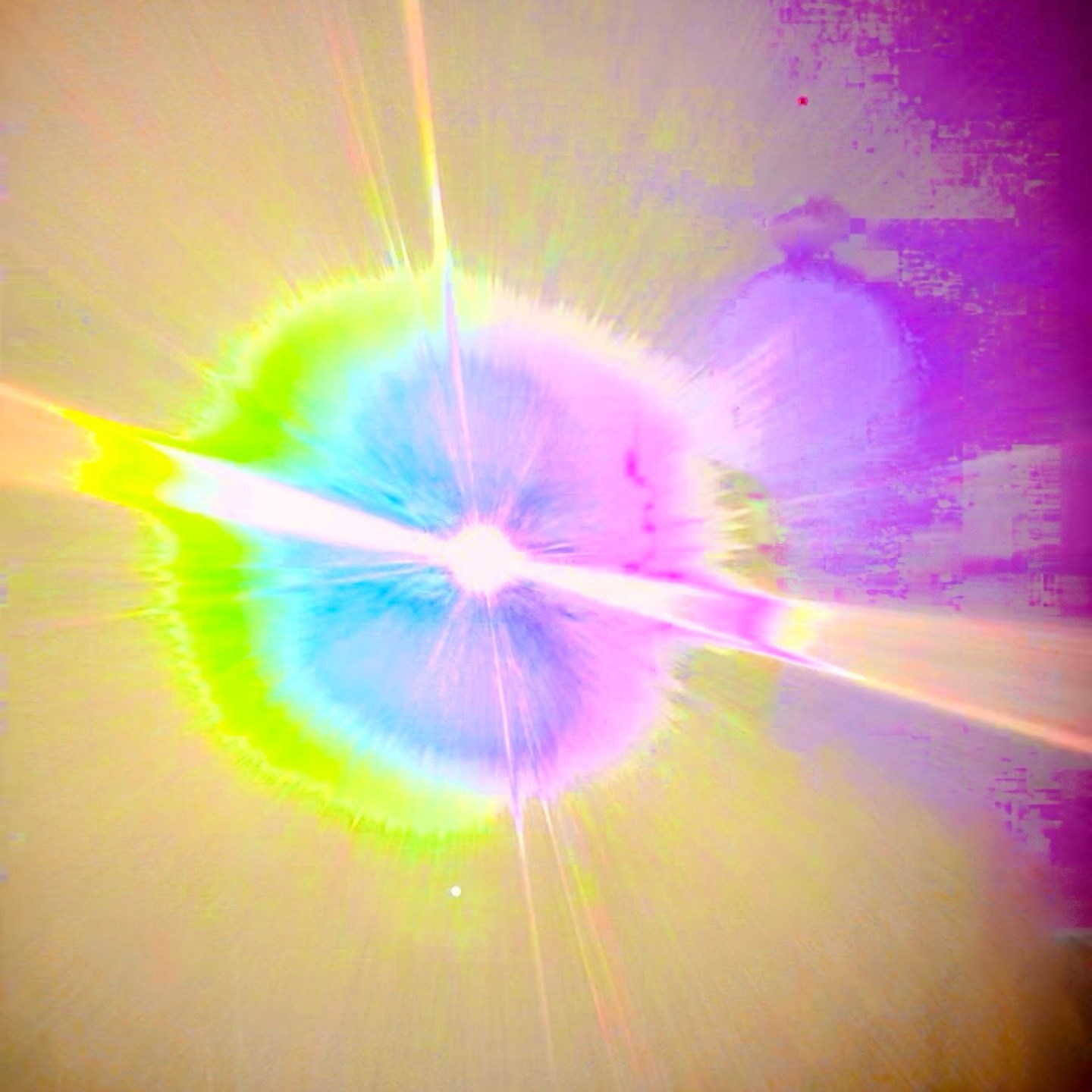 Naoki Ikawa · Artist Profile