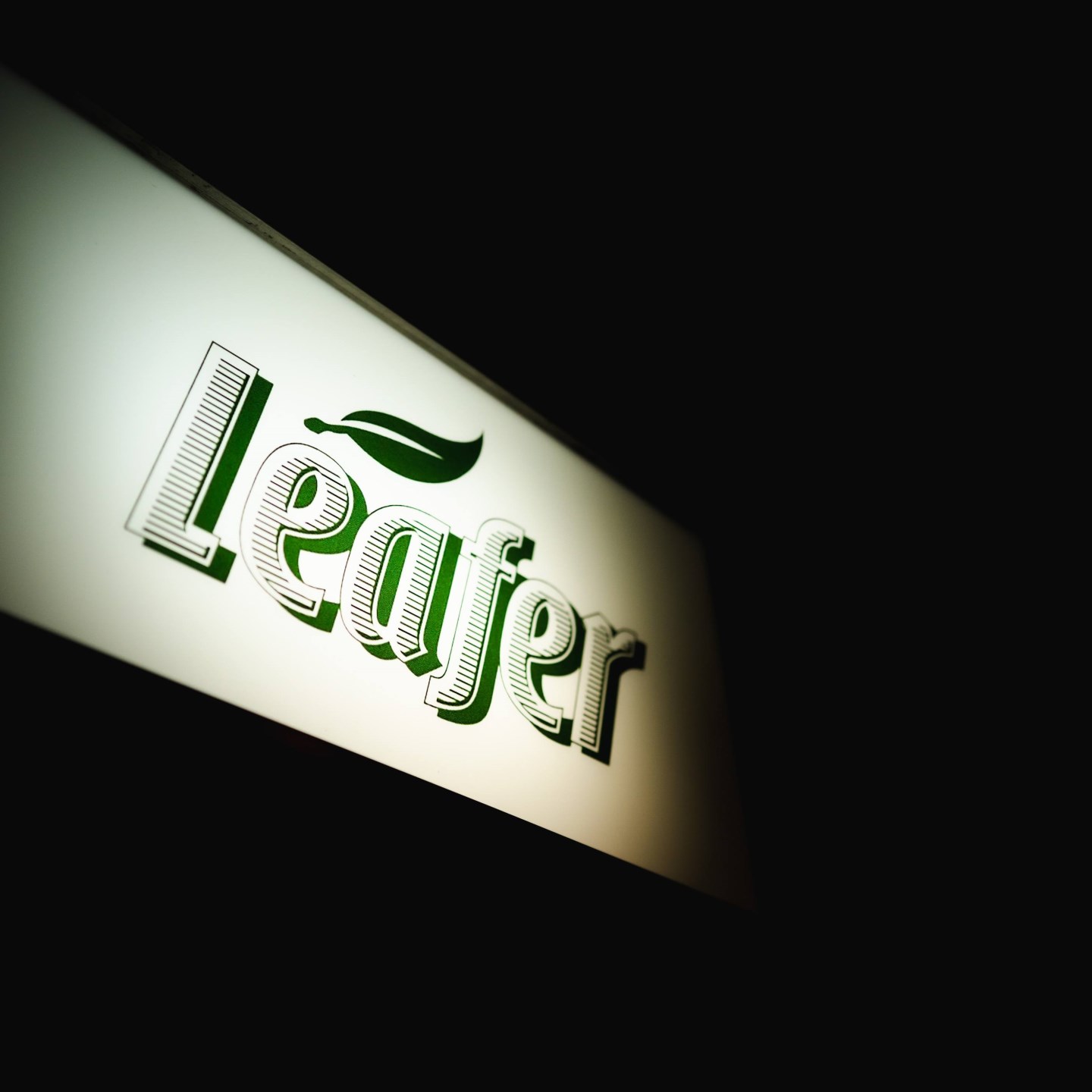 Naoki Matsumoto · Artist Profile