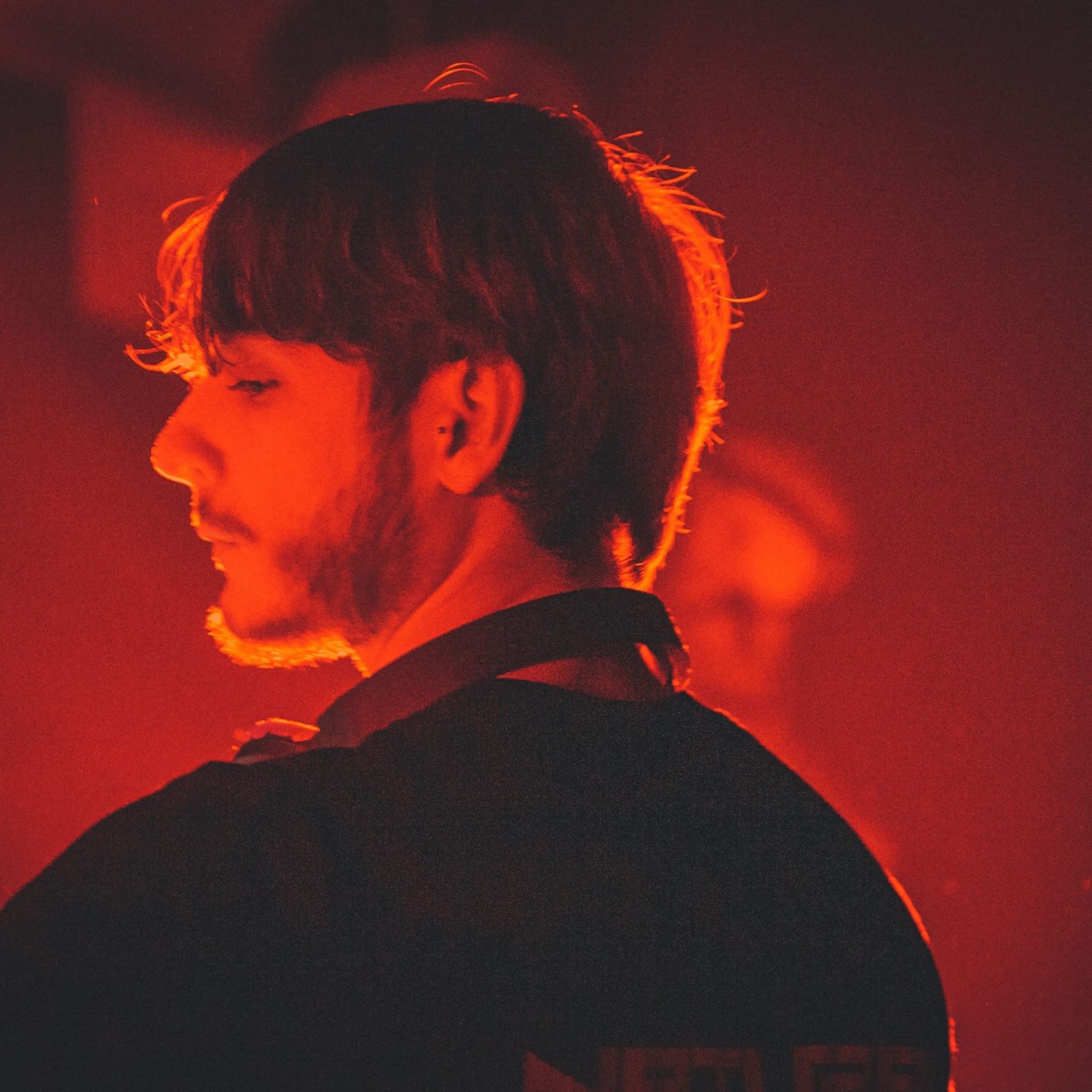 Natural Modulation Artist Profile