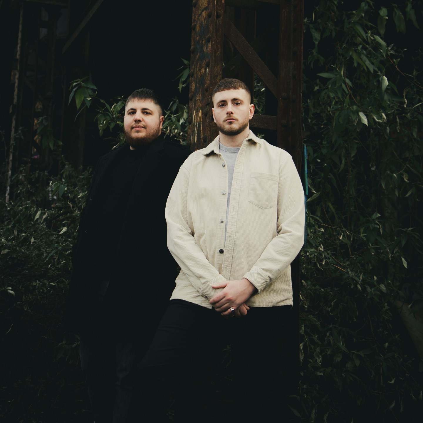 Neowise · Artist Profile