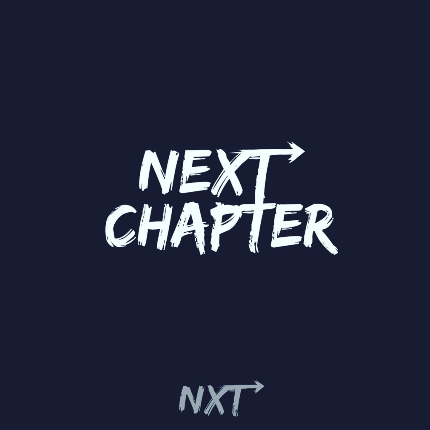 Next Chapter · Artist Profile