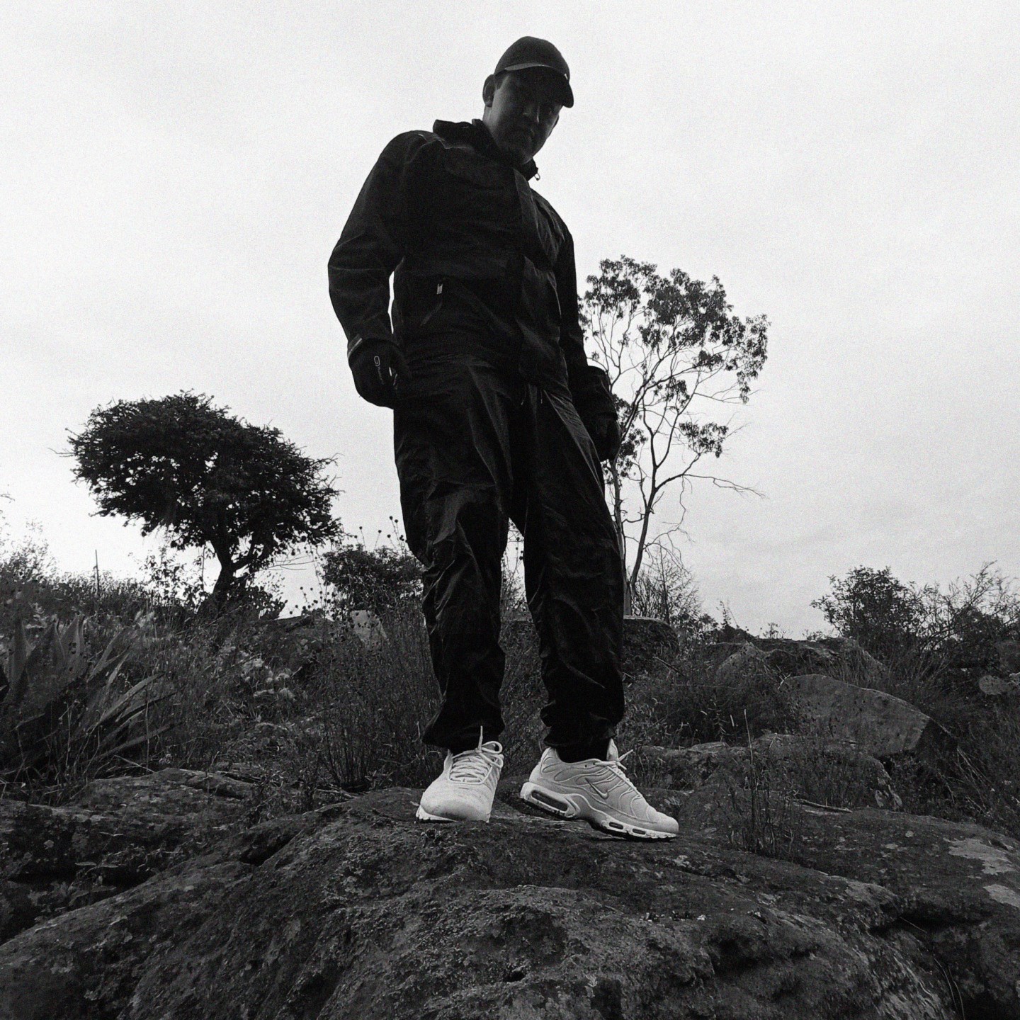 OMAAR · Artist Profile