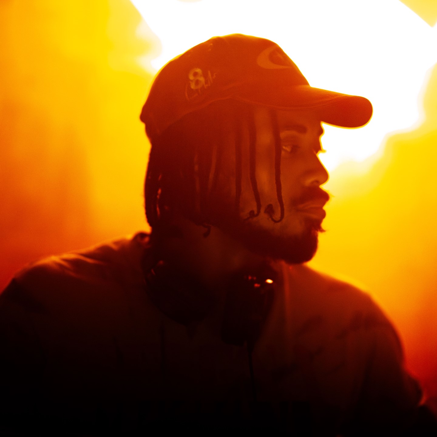 PAC (2) · Artist Profile