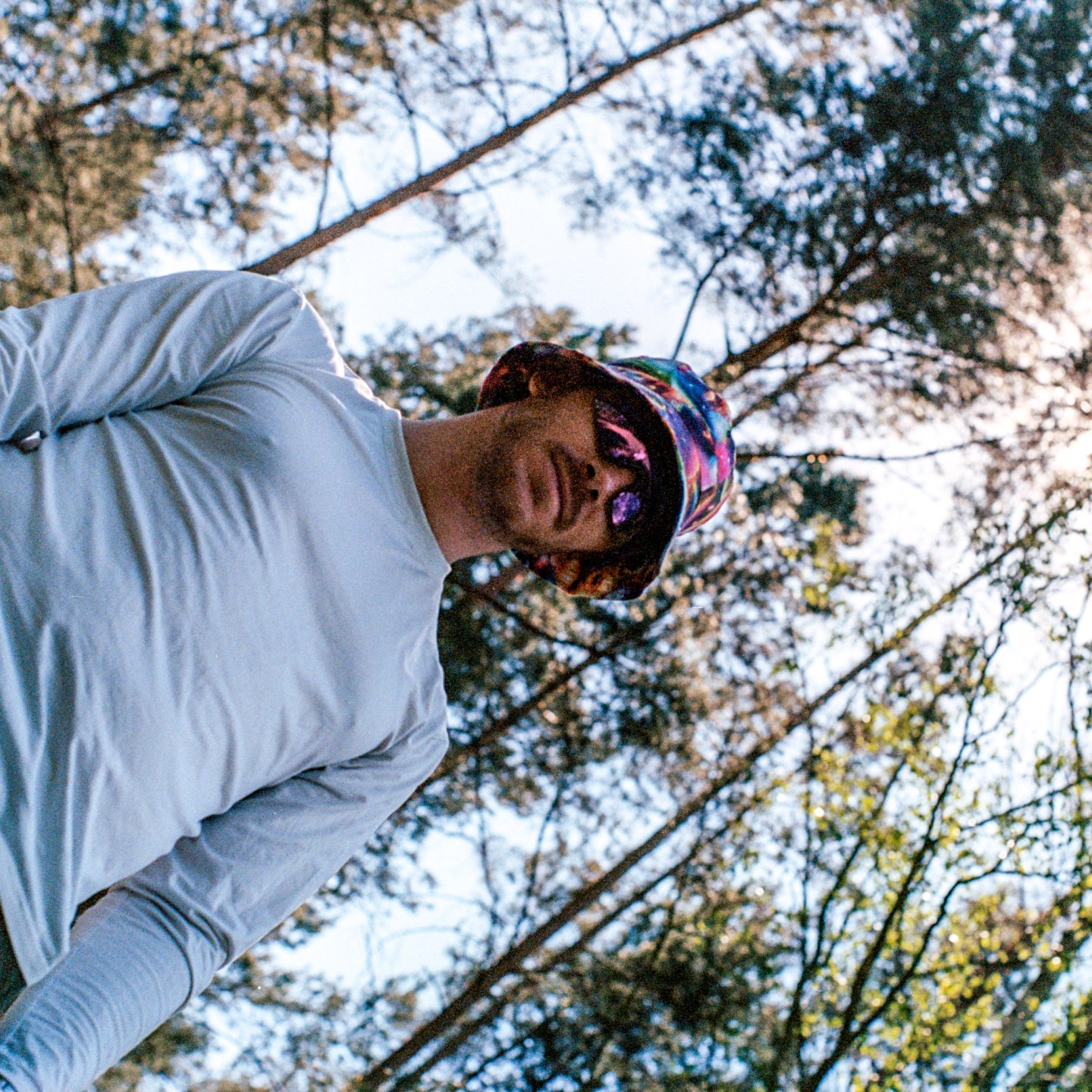 palle · Artist Profile