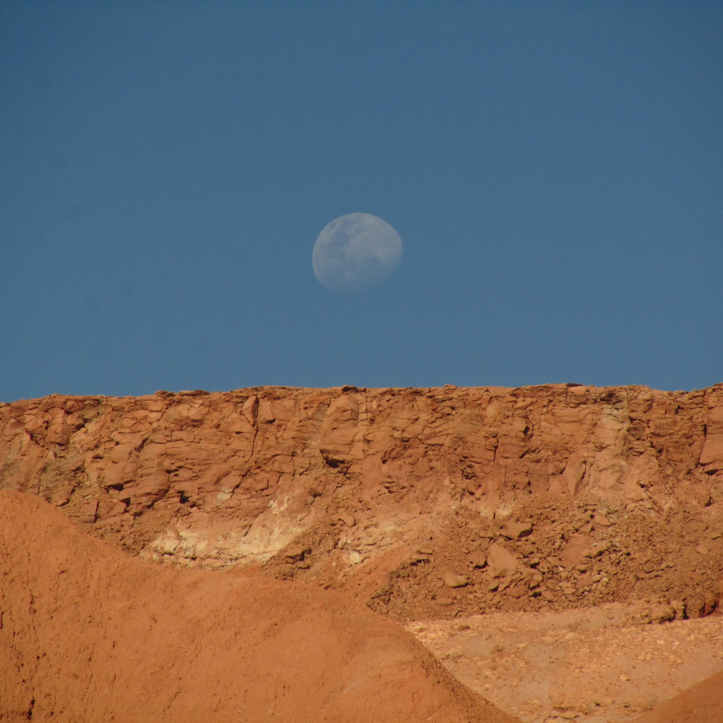 Pango · Artist Profile