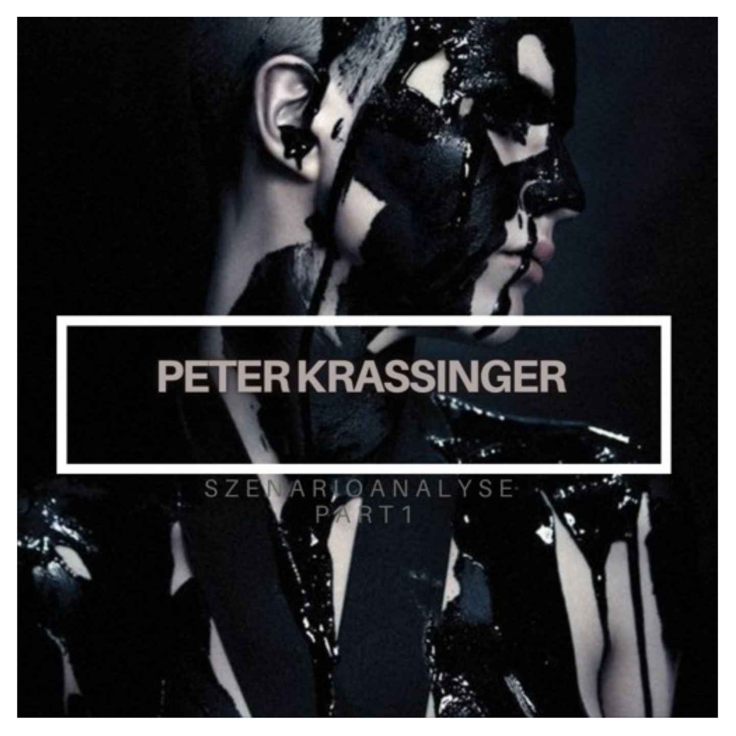 Peter Krassinger · Artist Profile