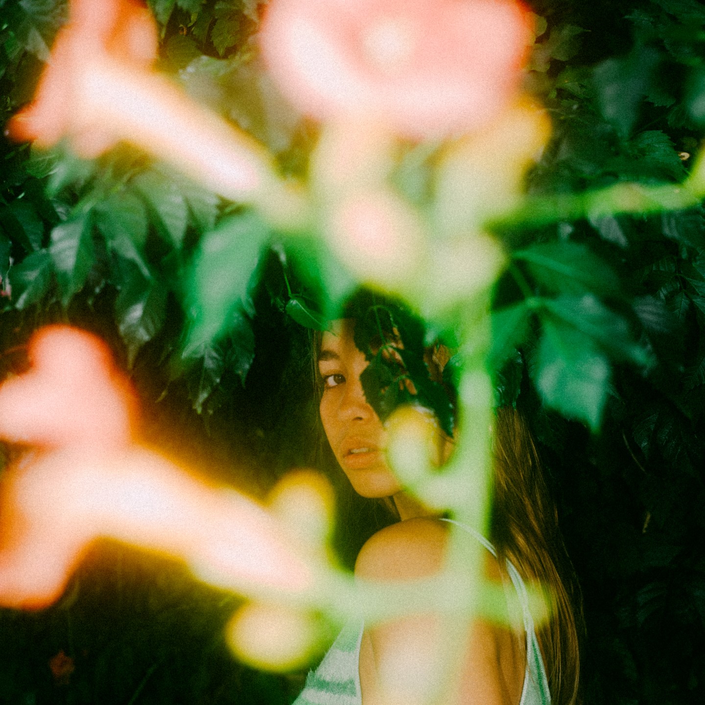 PLOY (3) · Tour Dates & Tickets