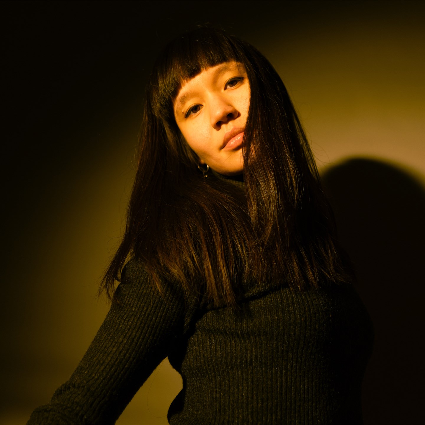 Polygonia · Artist Profile