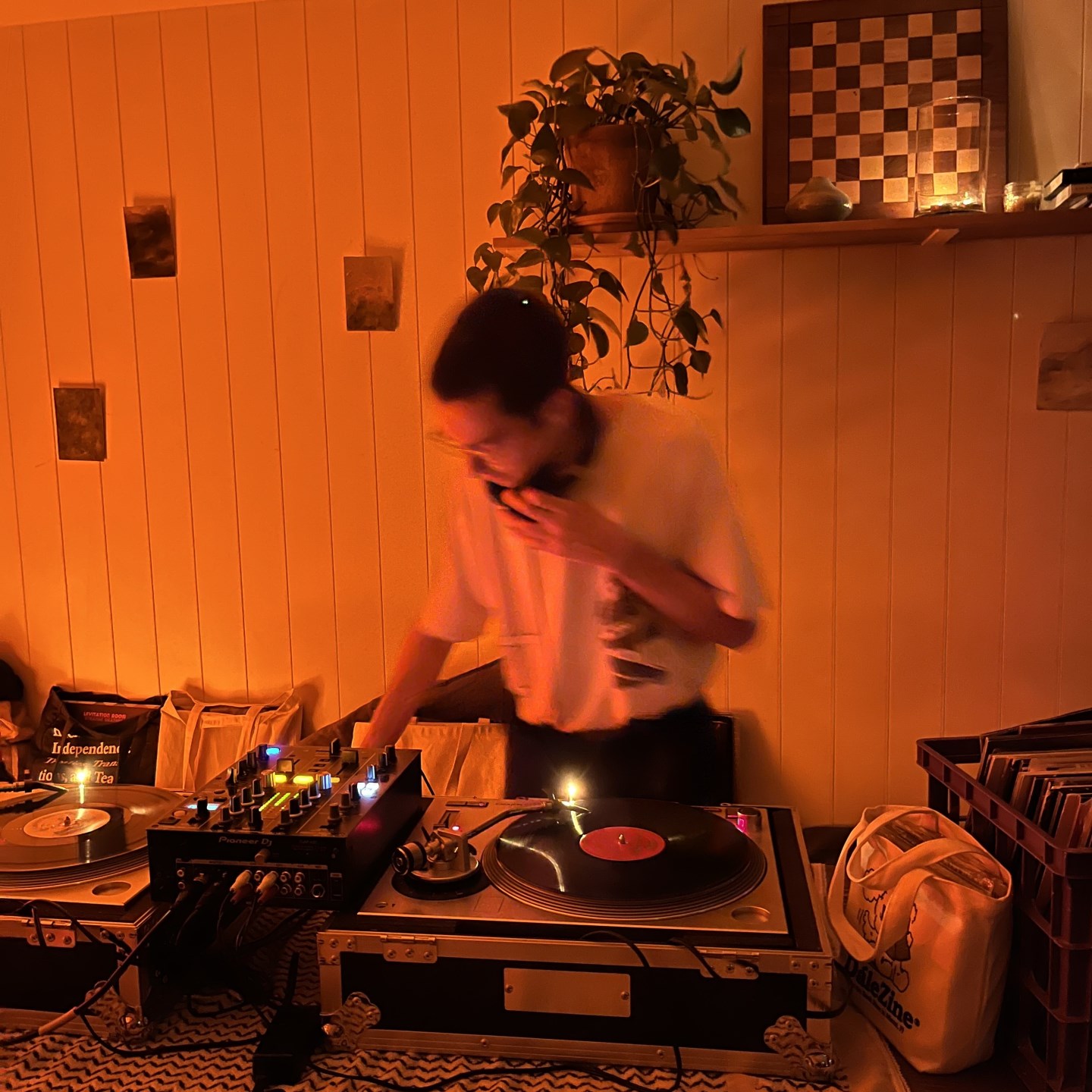 Private Dancer · Artist Profile